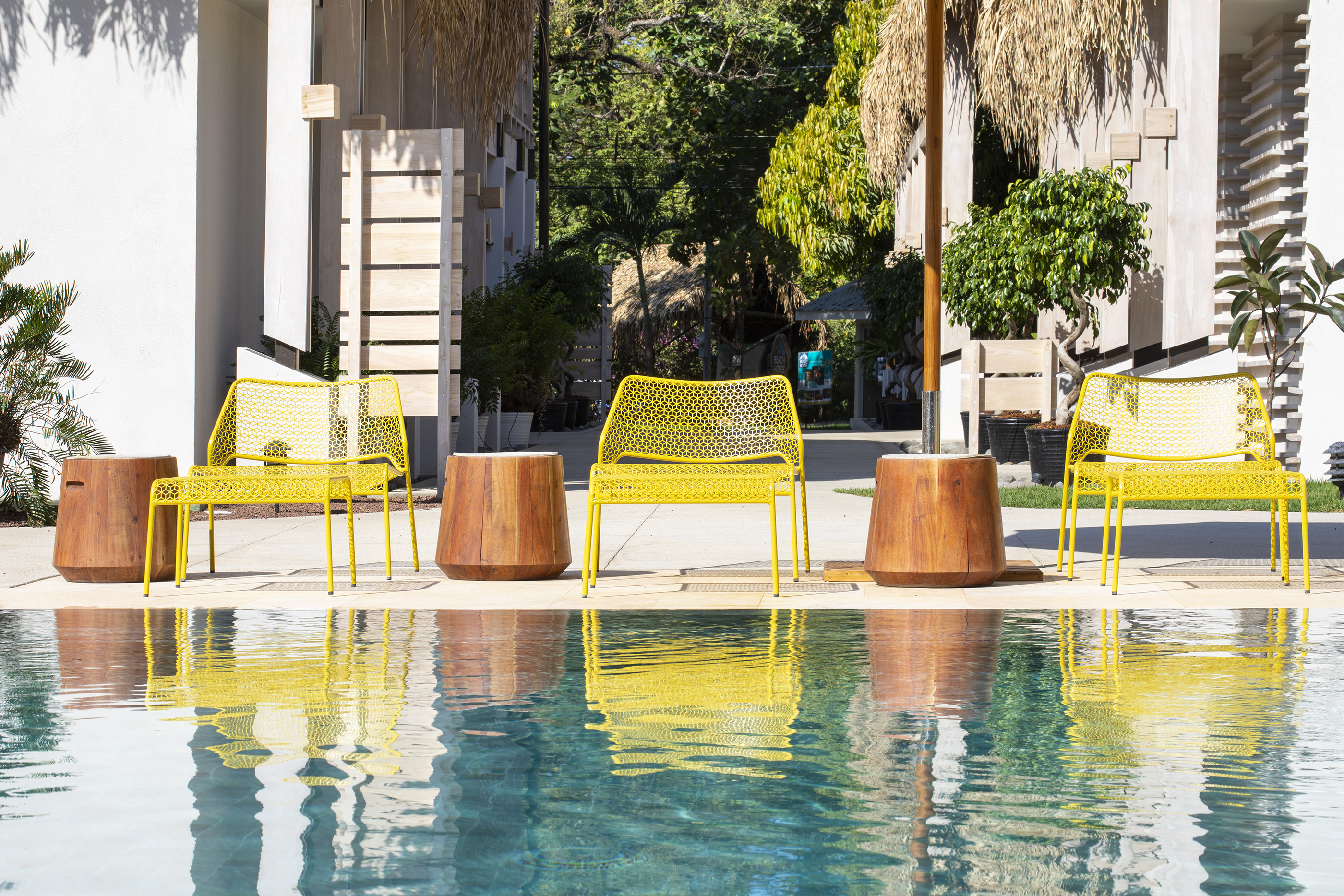 The Gilded Iguana Hotel by Studio Saxe - Architizer