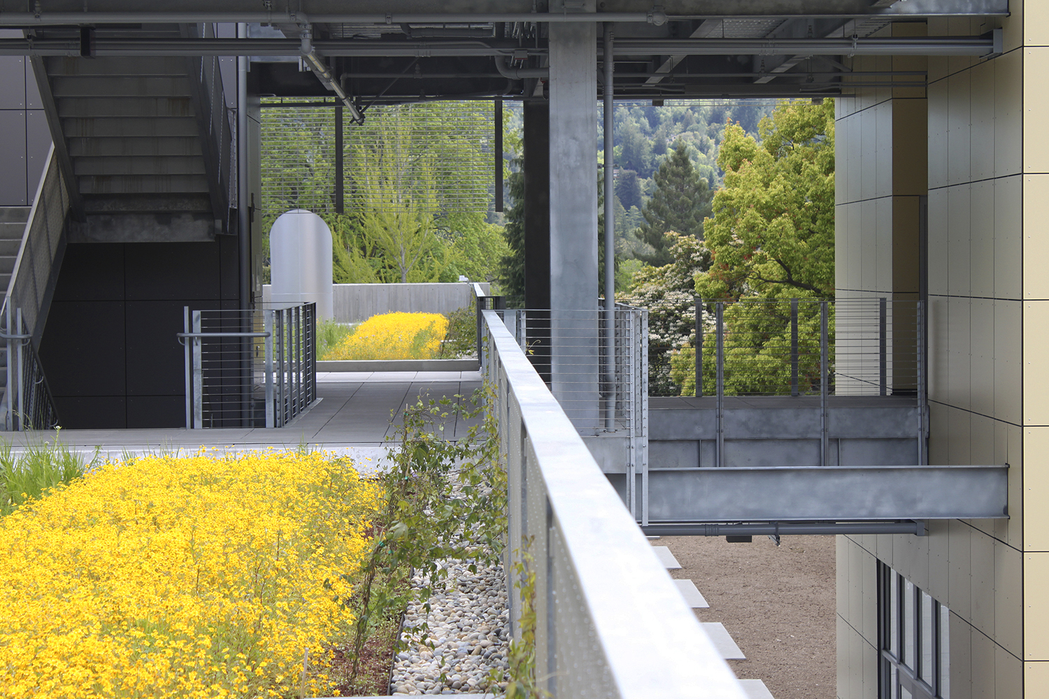 COMMUNITY COLLEGE: FINE ARTS BUILDING by Marcy Wong Donn Logan ...