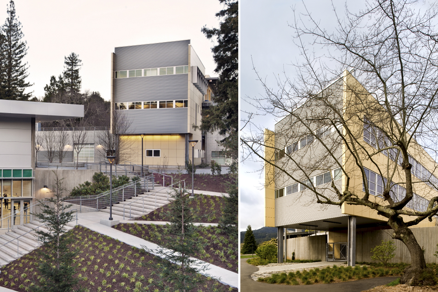 COMMUNITY COLLEGE: FINE ARTS BUILDING by Marcy Wong Donn Logan ...