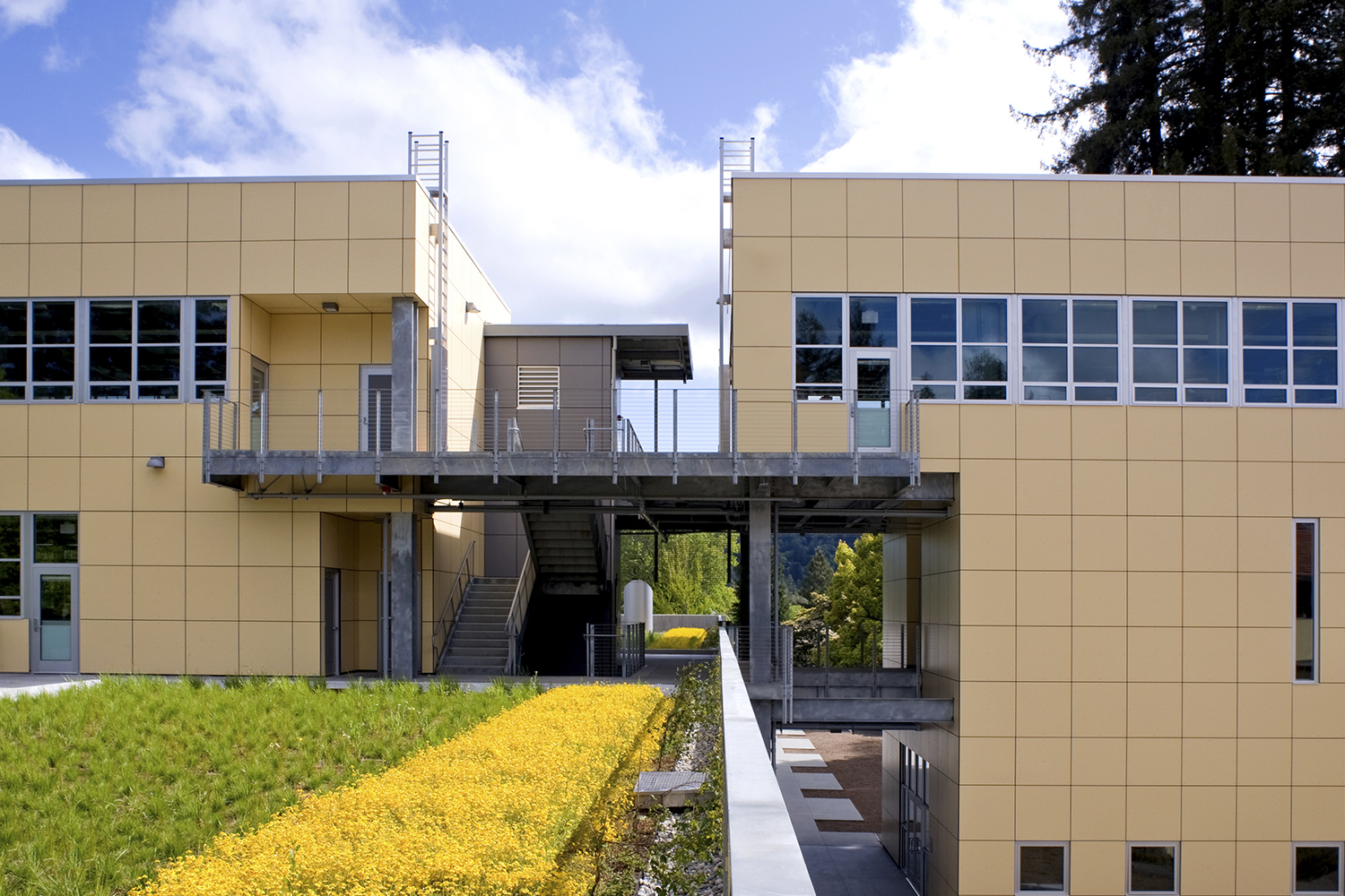 COMMUNITY COLLEGE: FINE ARTS BUILDING by Marcy Wong Donn Logan ...