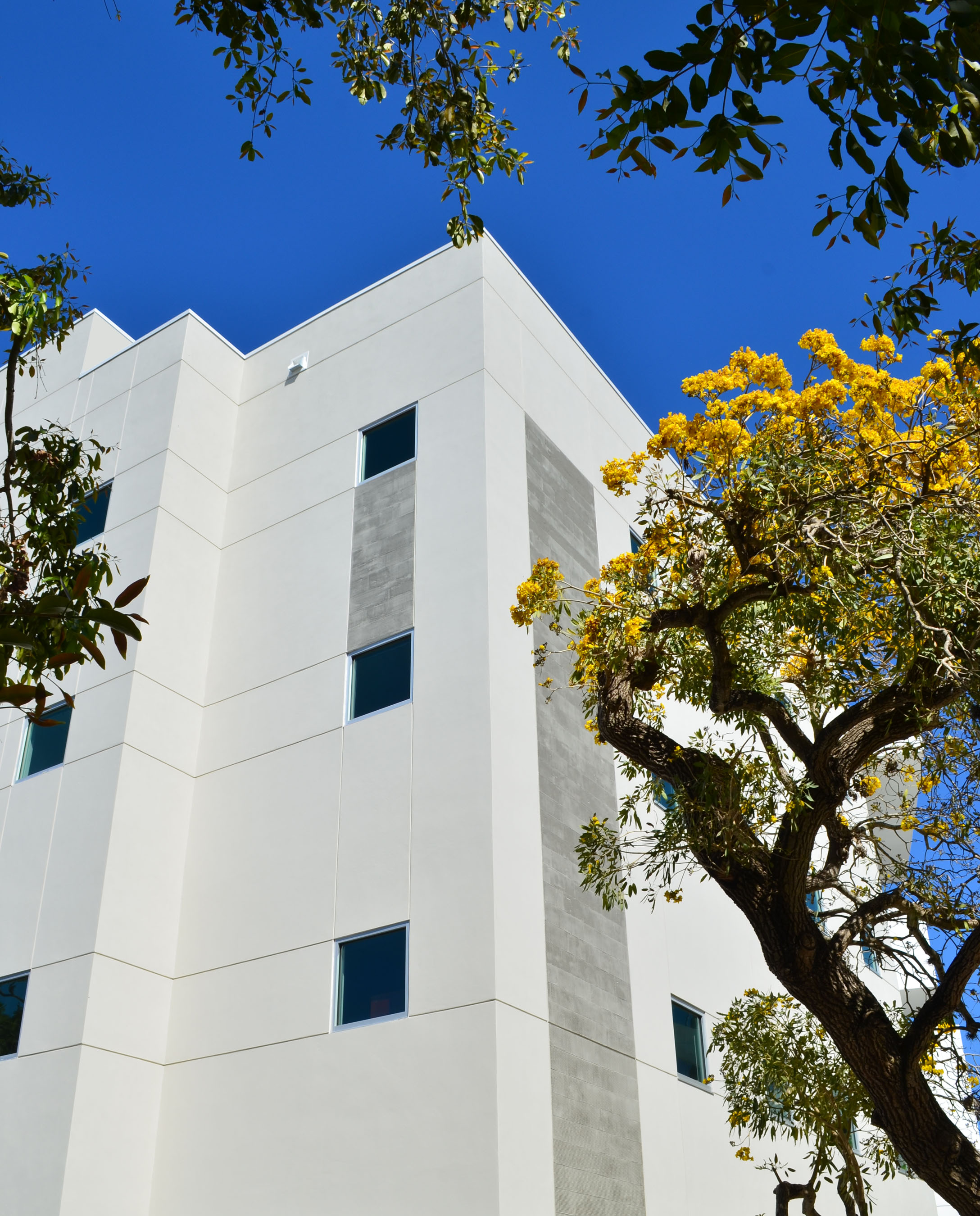 Sabal Palm Plaza by Suarez Architecture - Architizer