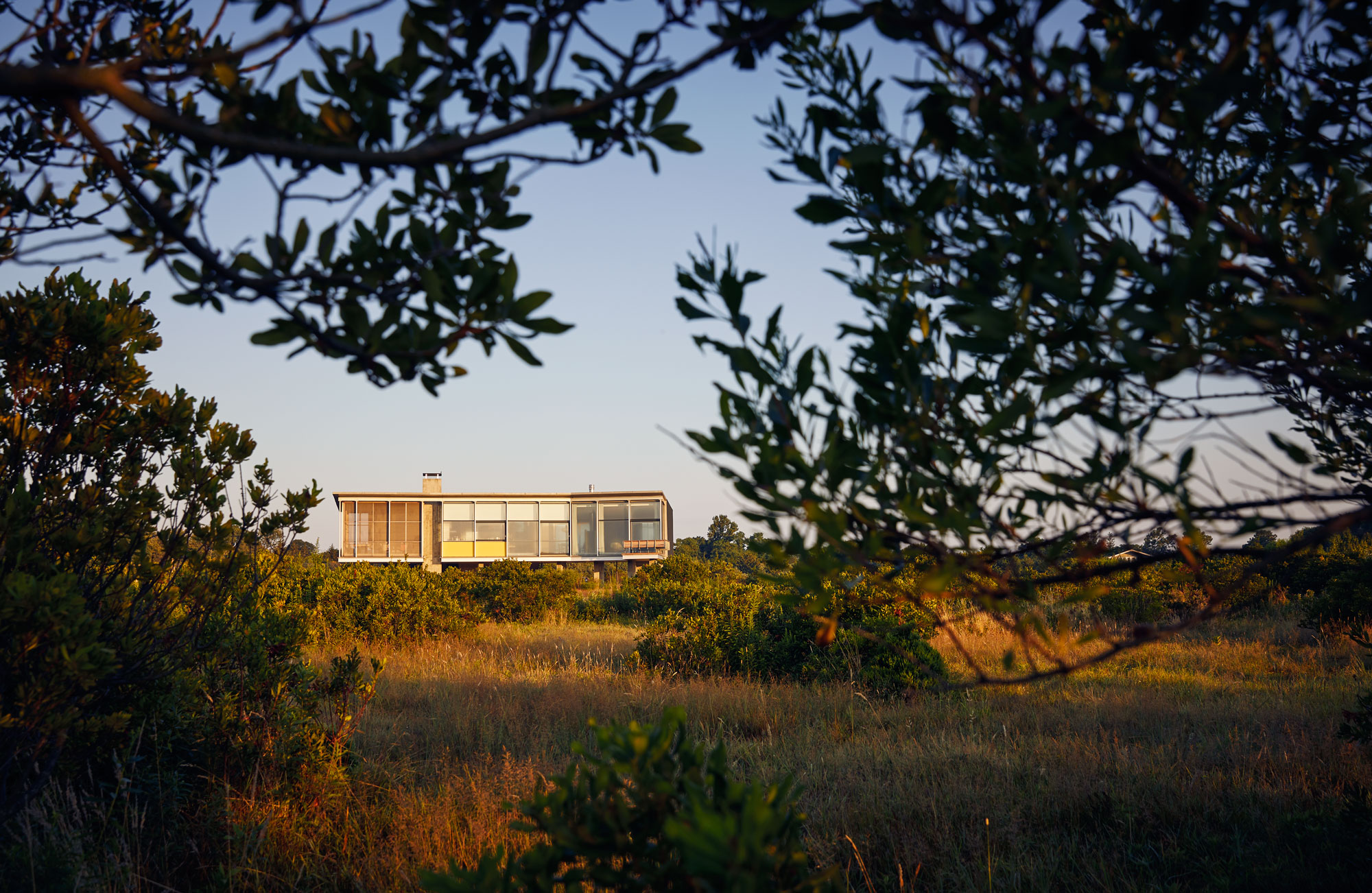 Orient House V by Ryall Sheridan Architects - Architizer