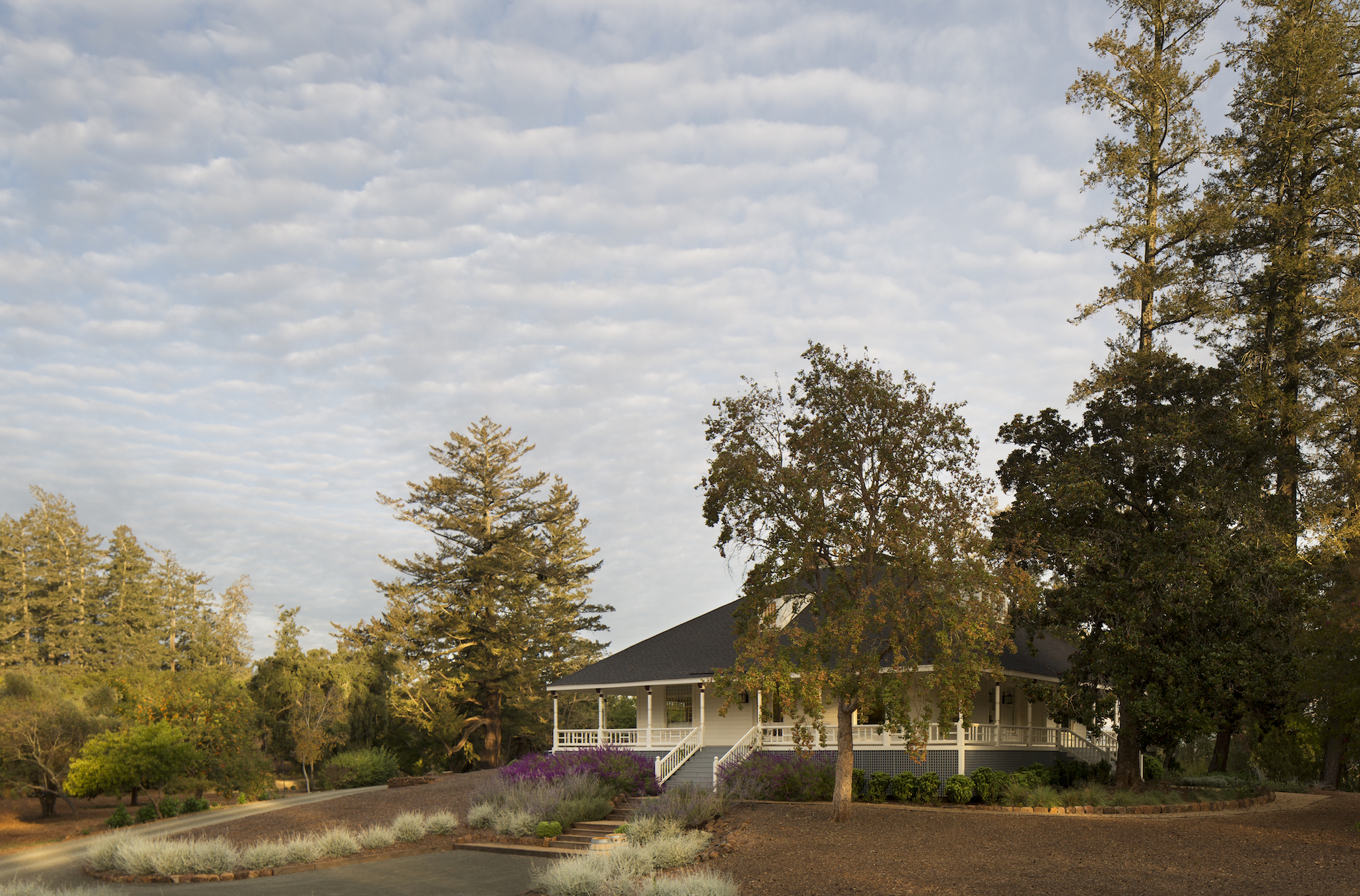 Cole House by Richard Beard Architects - Architizer