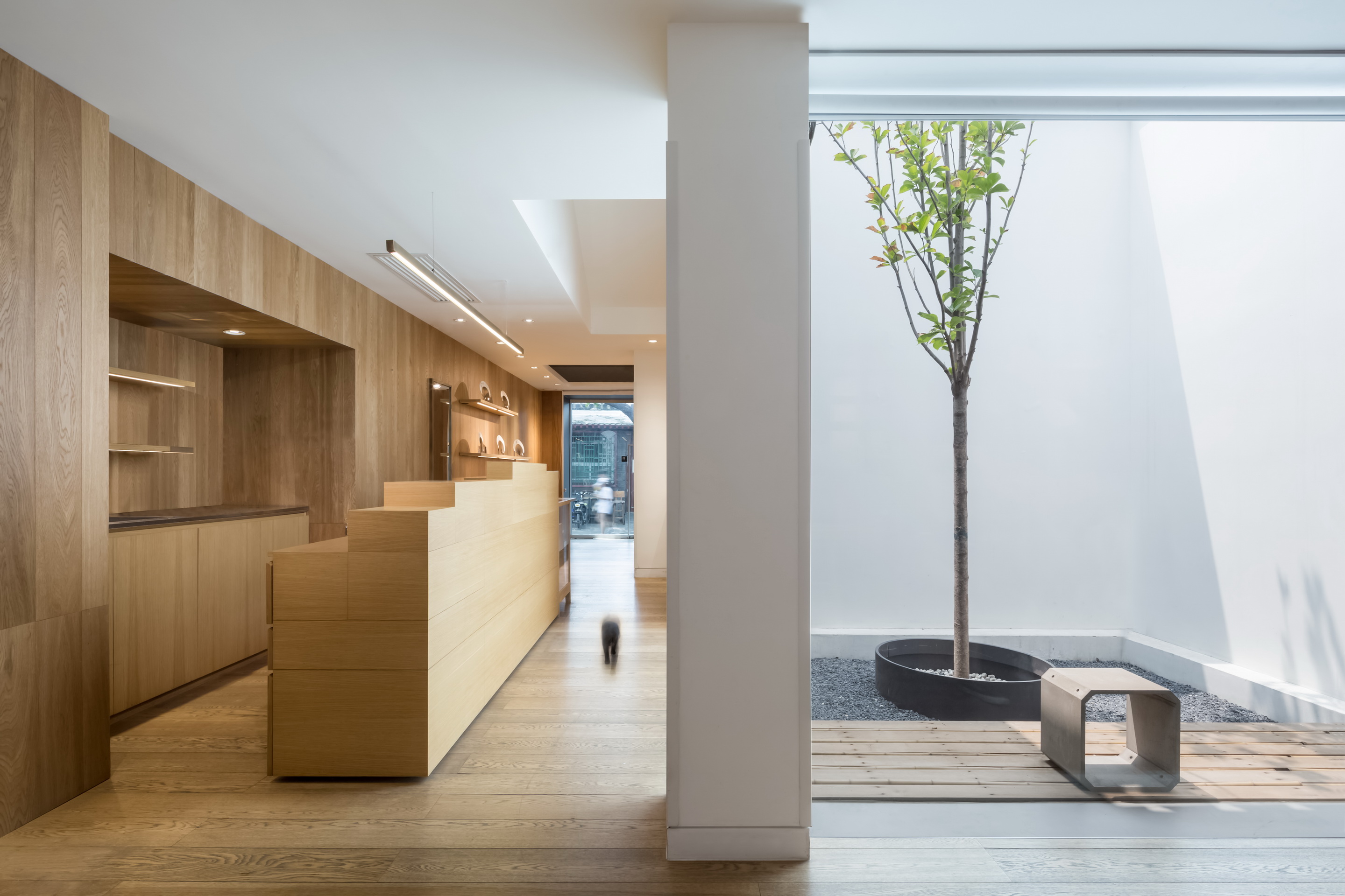 JING FAN BEIJING by Golucci Interior Architects - Architizer