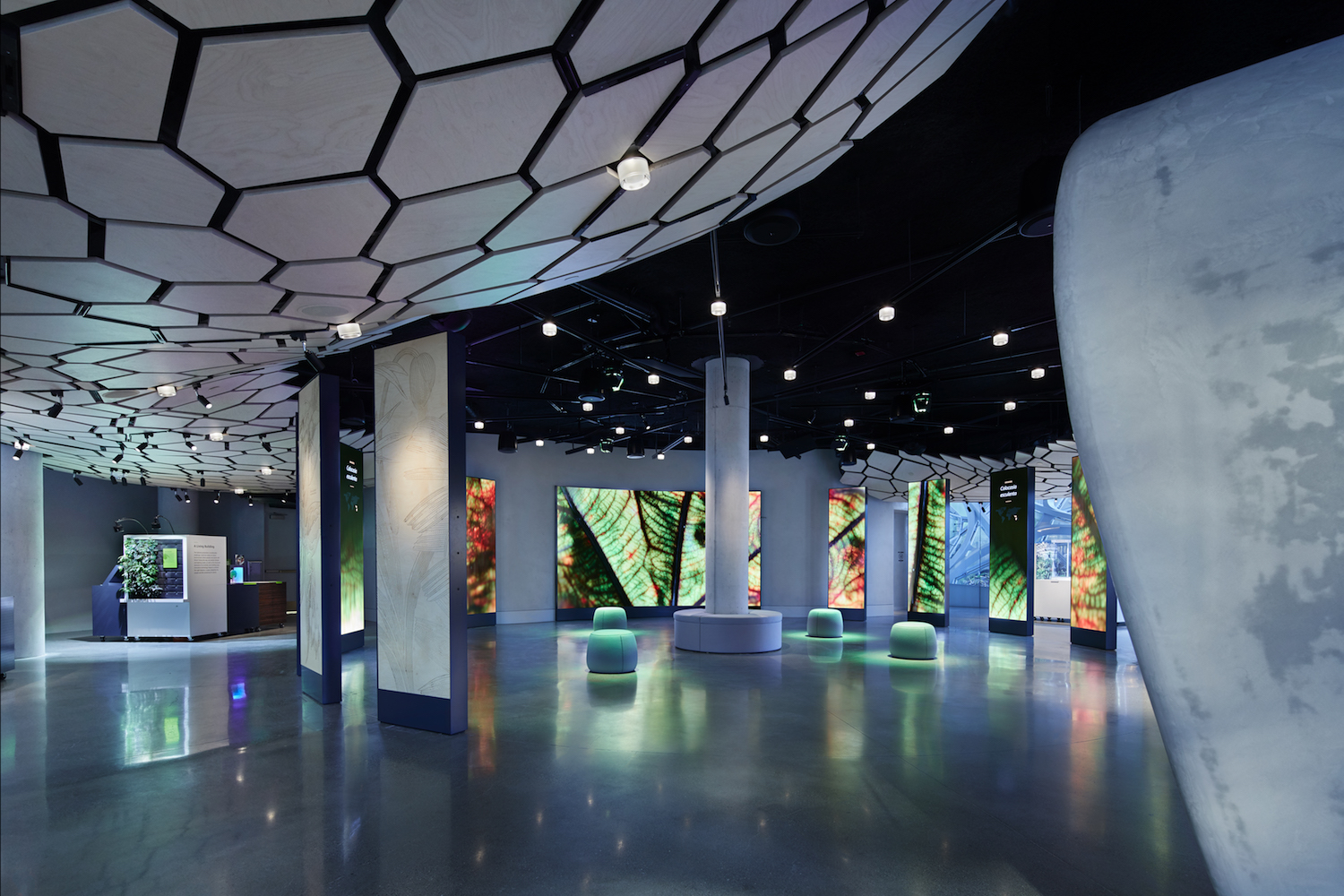 Pybus Public Market by GRAHAM BABA ARCHITECTS - Architizer