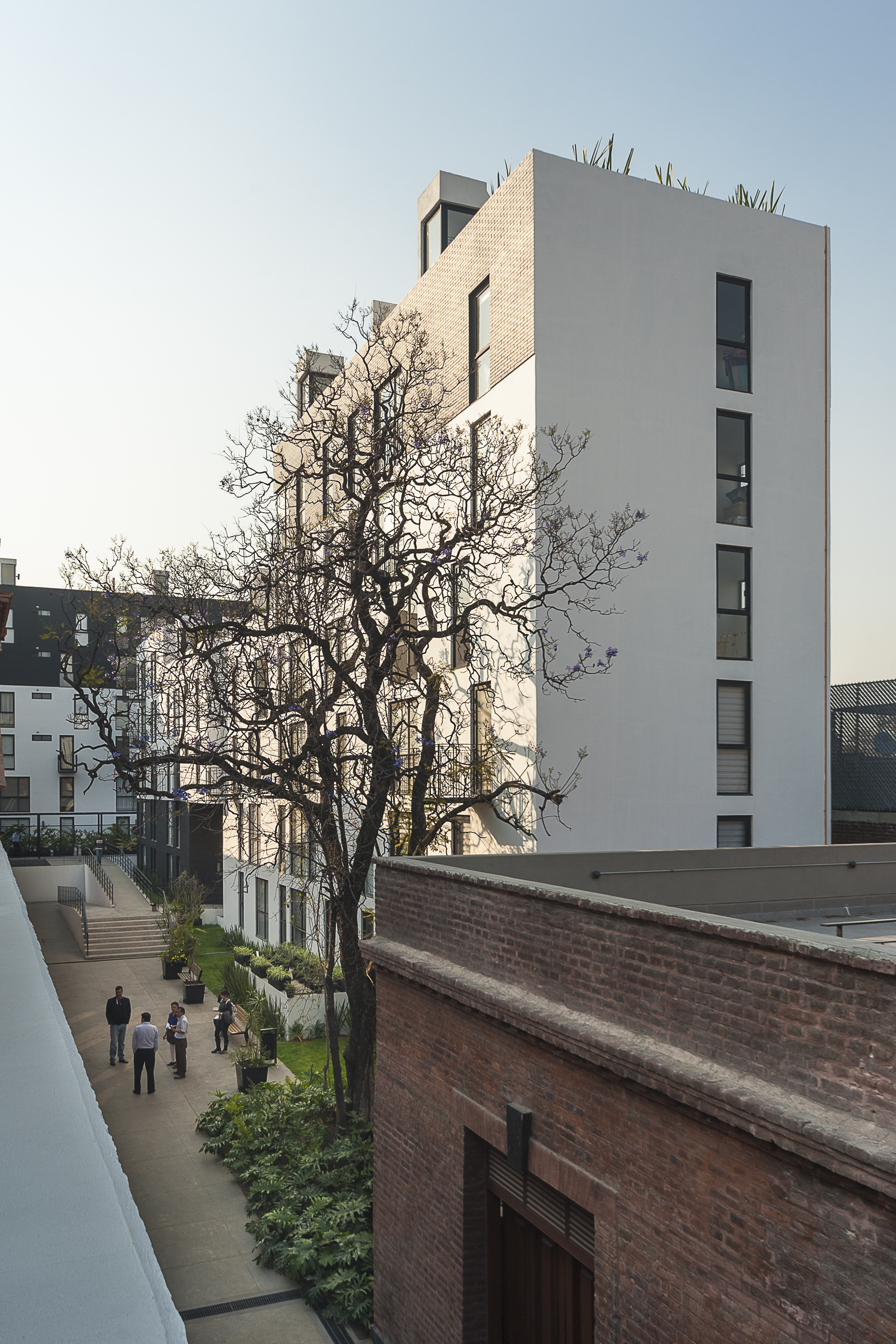 María Ribera by JSa Arquitectura - Architizer