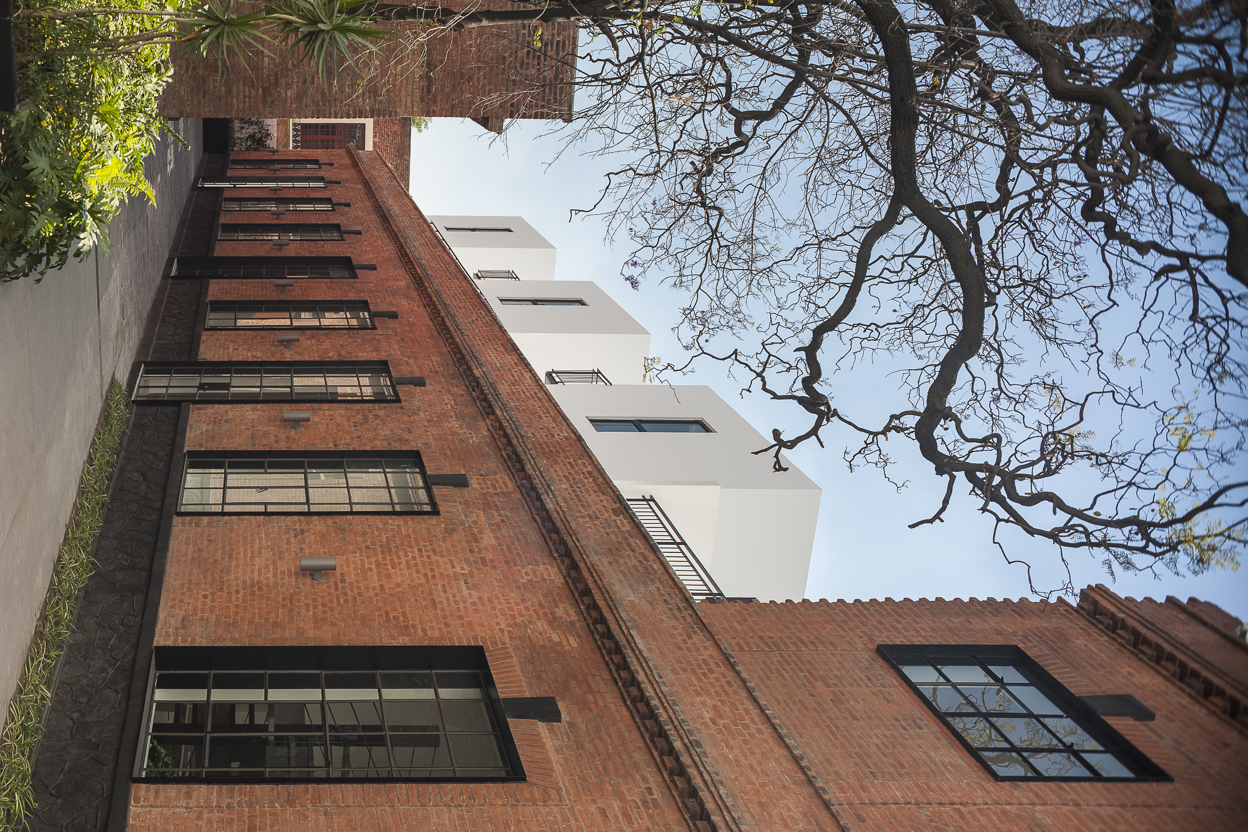 María Ribera by JSa Arquitectura - Architizer