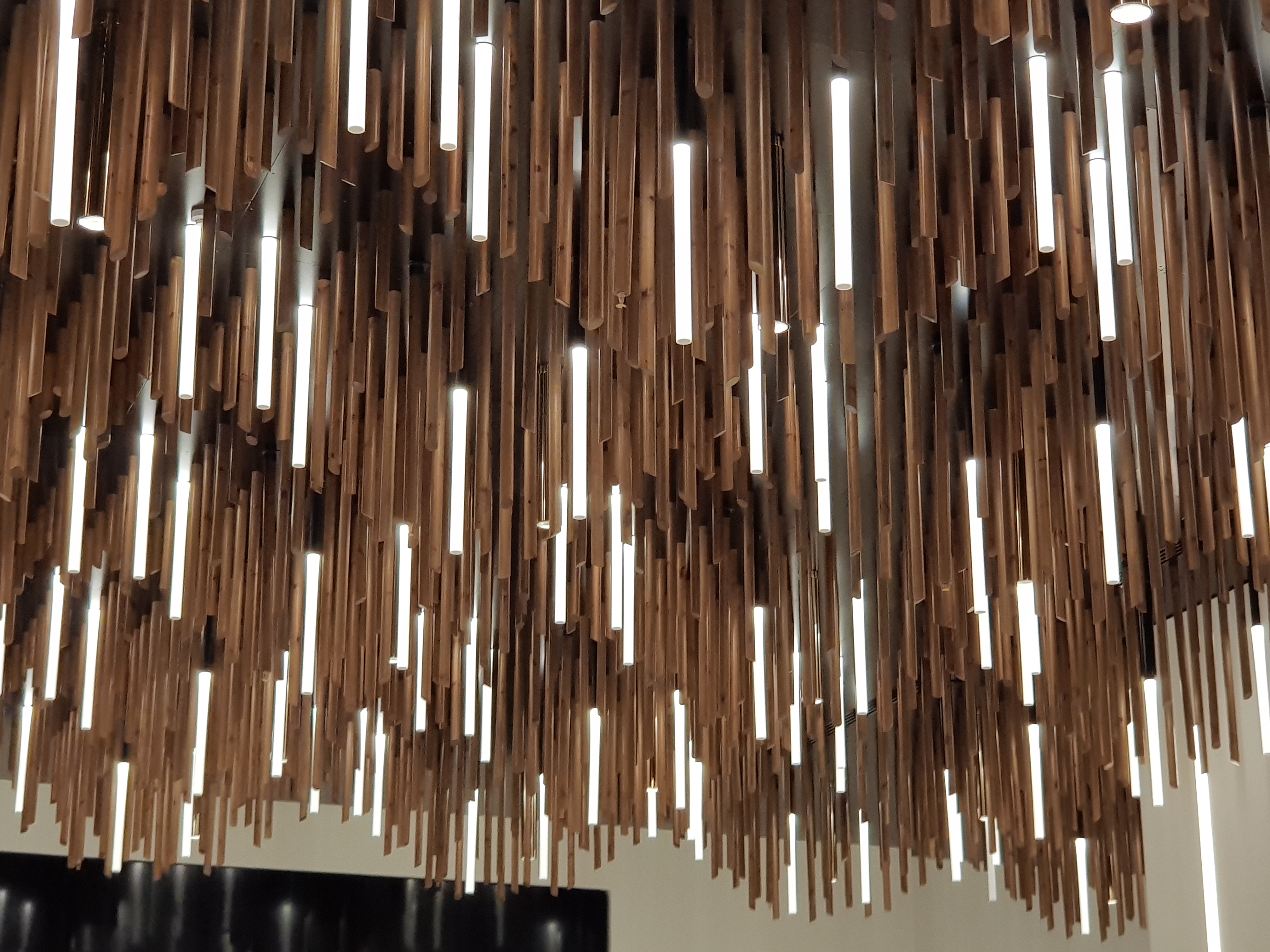 The Inverted Forest by illumination Physics - Architizer