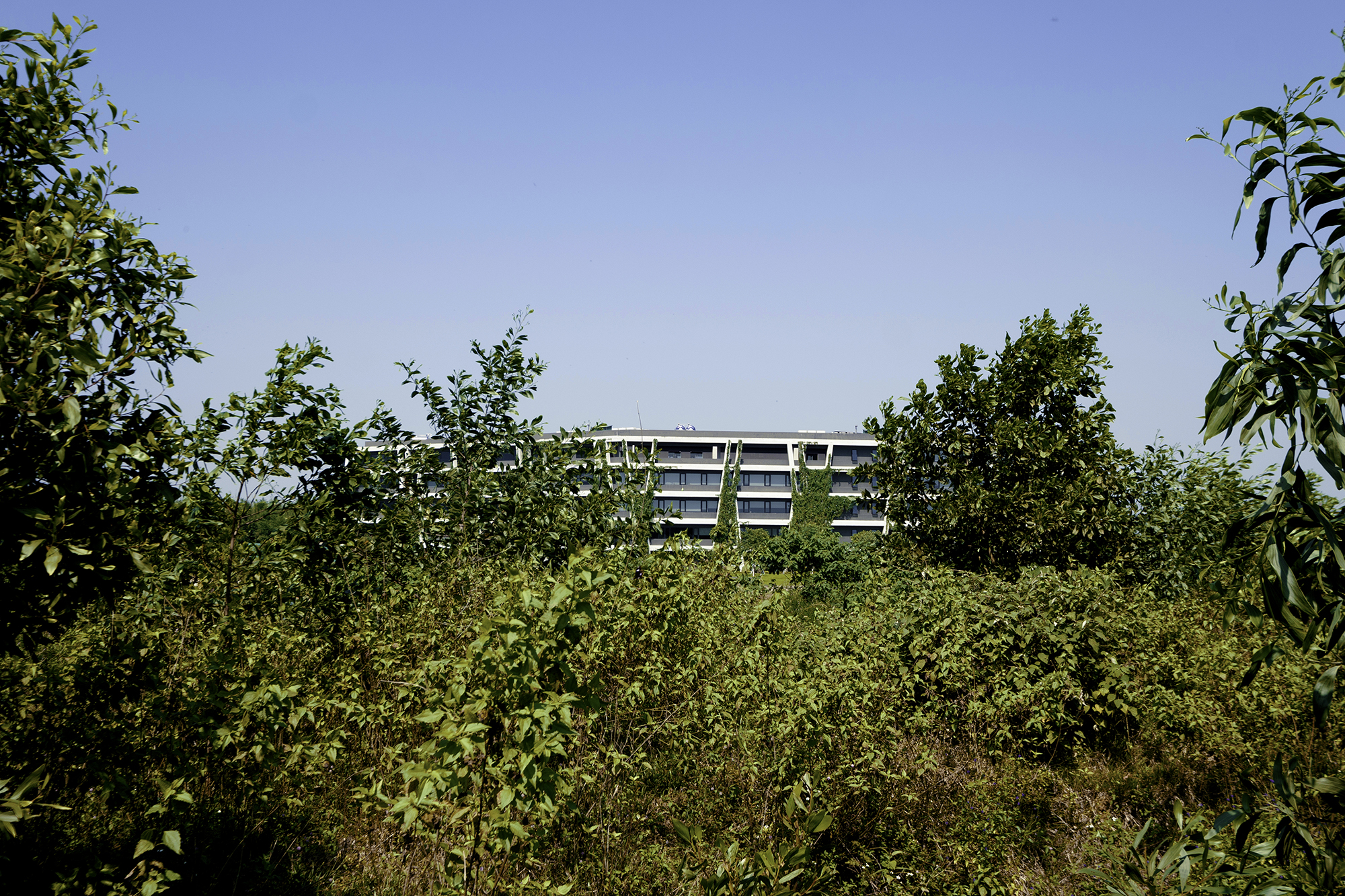 CONCRETE LACE by G8A Architecture & Urban Planning - Architizer