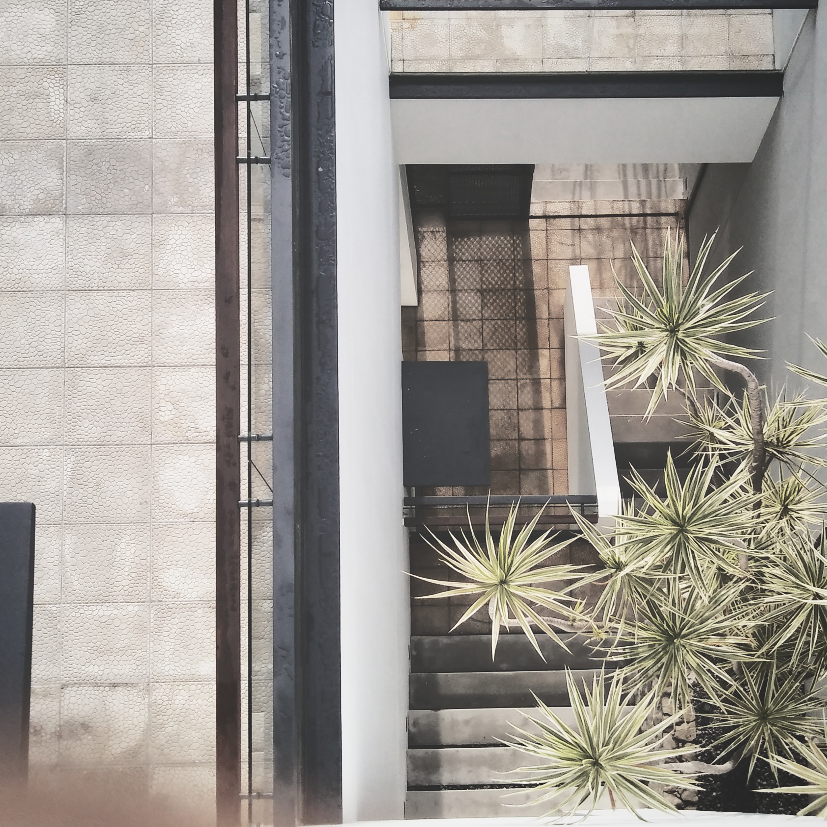 White Cliff House by RDMA - Architizer