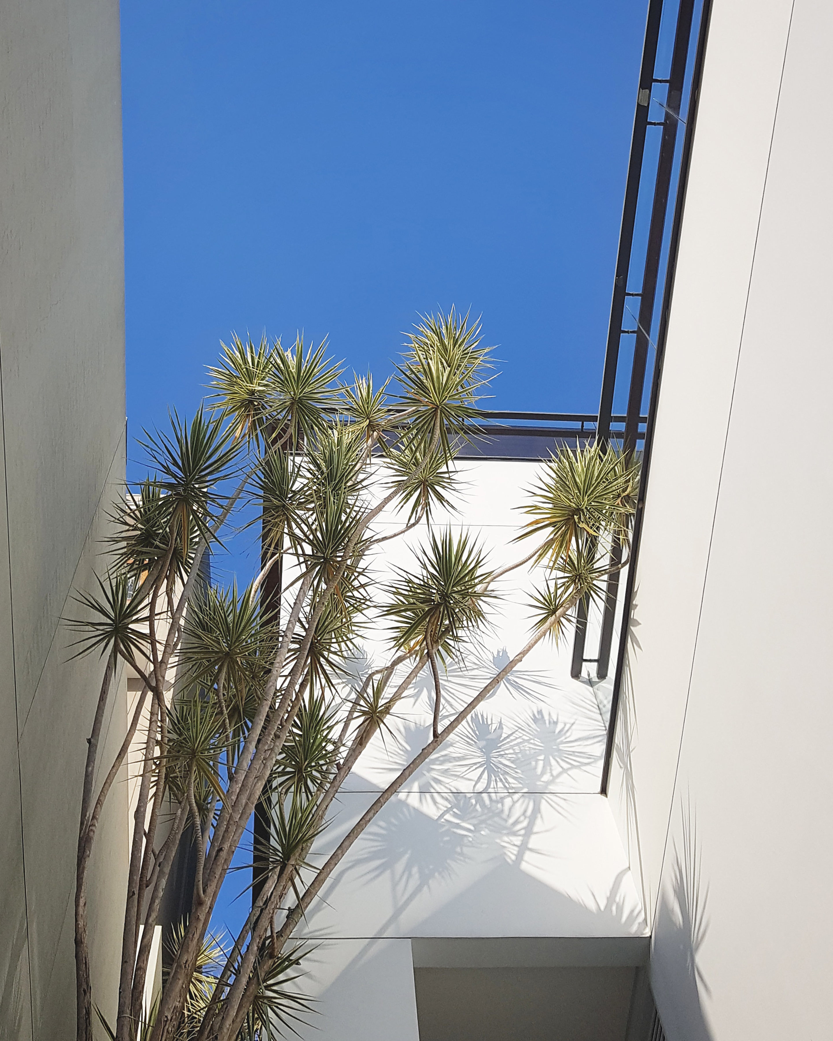 White Cliff House by RDMA - Architizer