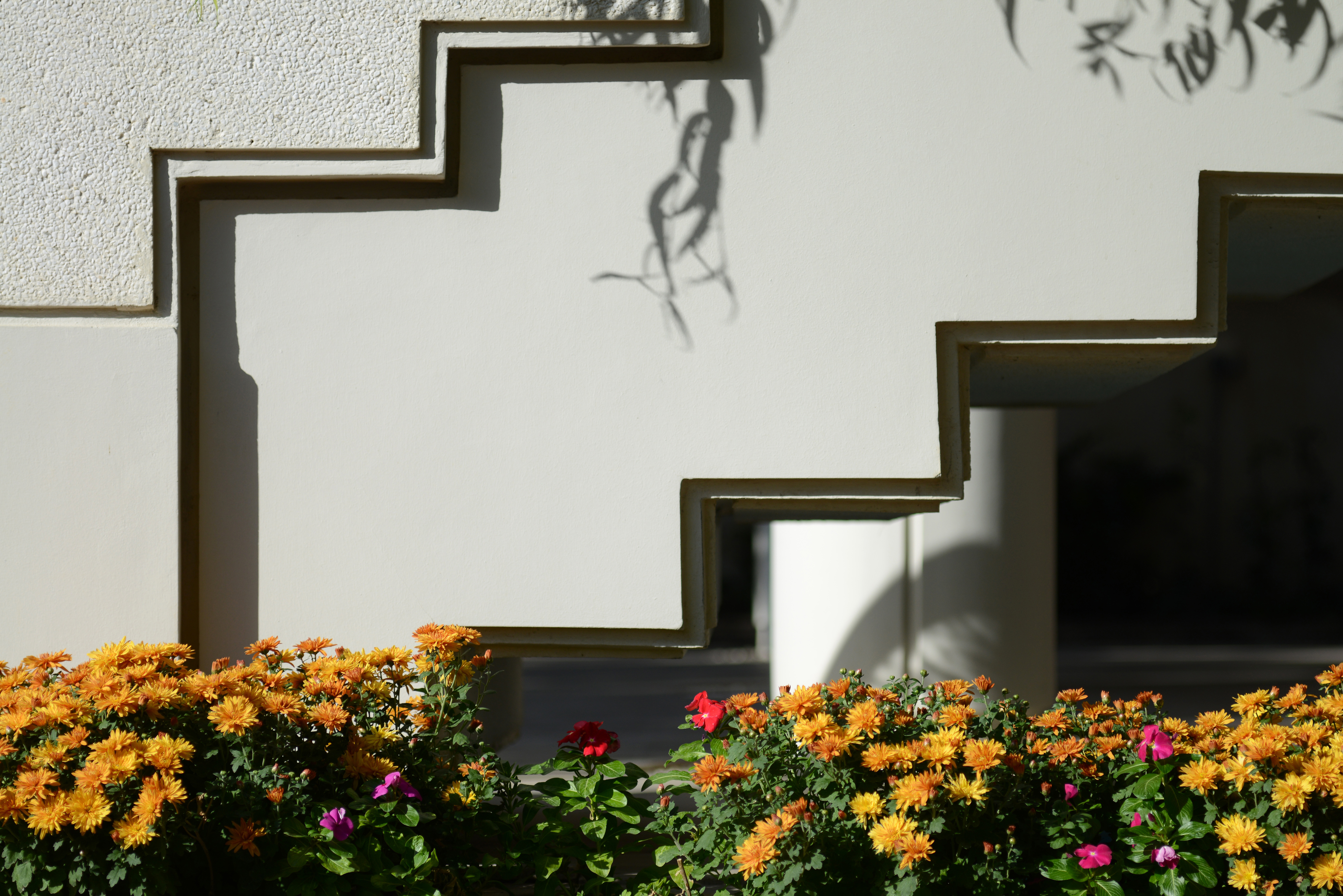 Avishan Villa by Studio Davazdah - Architizer