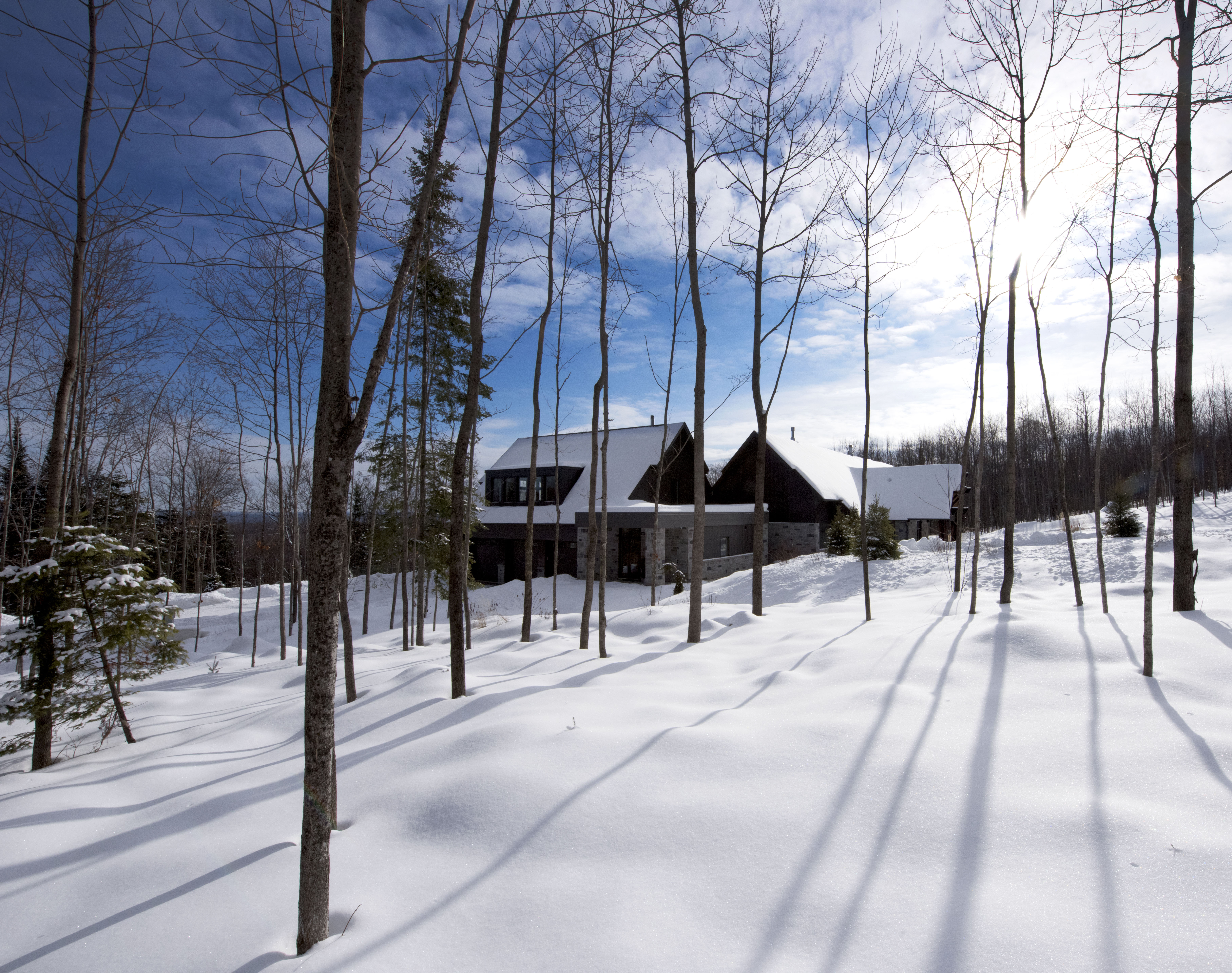 Maison Studio House by Larocque Elder Architects, Architectes Inc ...