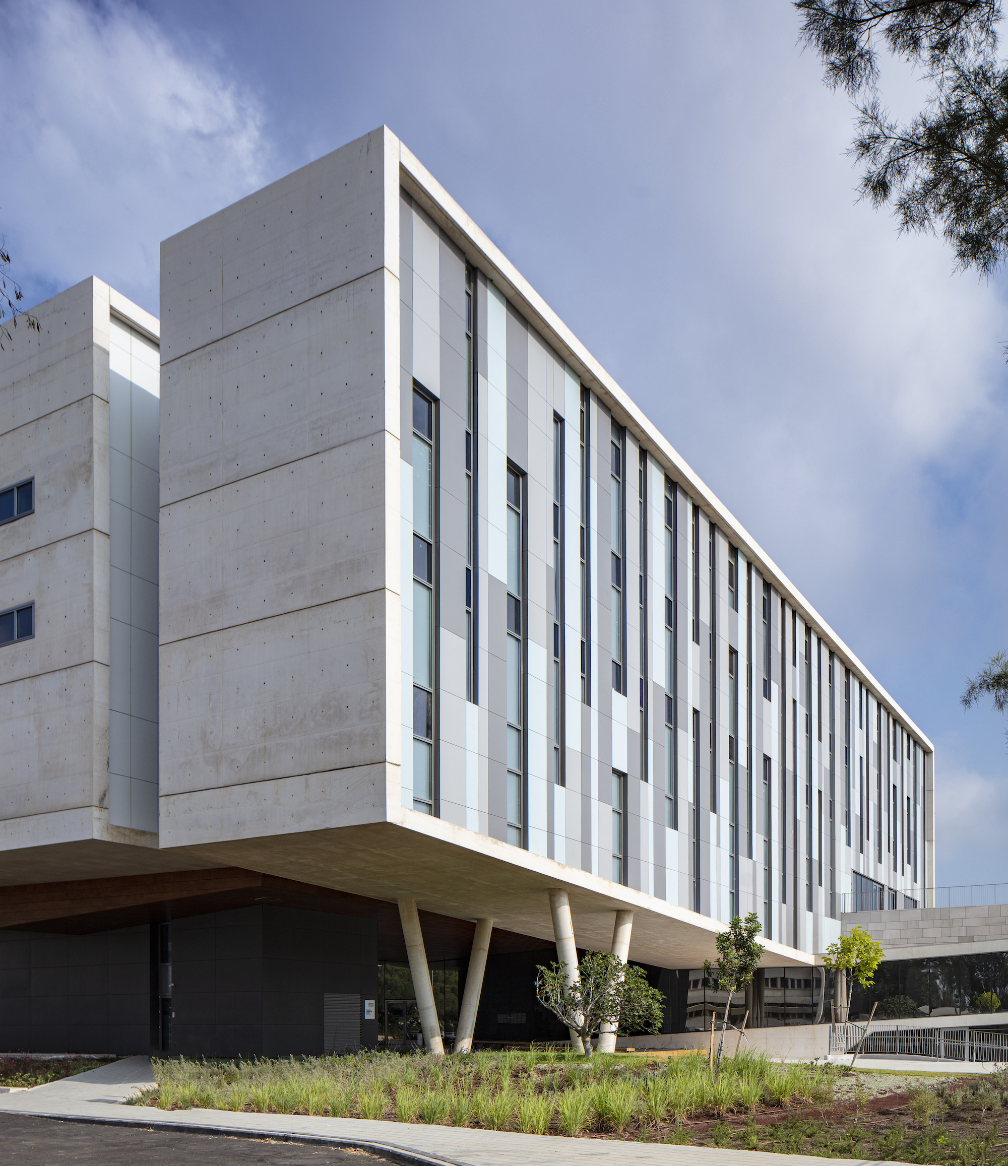 The Steinhardt Museum of Natural History by Kimmel Eshkolot Architects ...