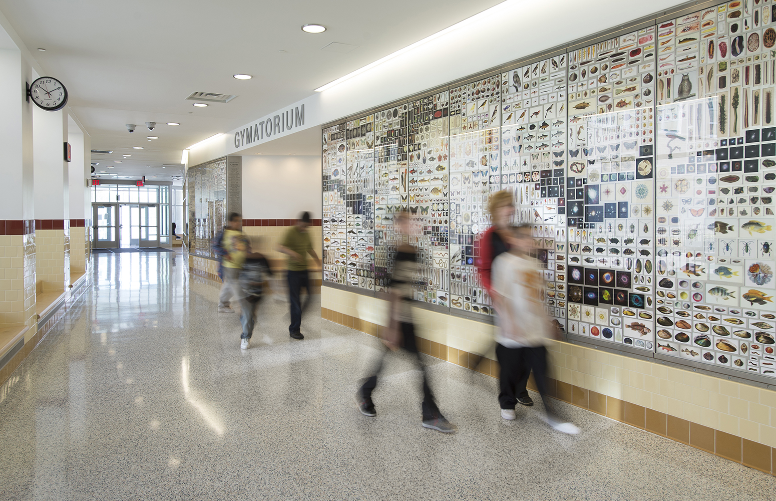 New York City PS / IS 48 R by Kliment Halsband Architects - Architizer