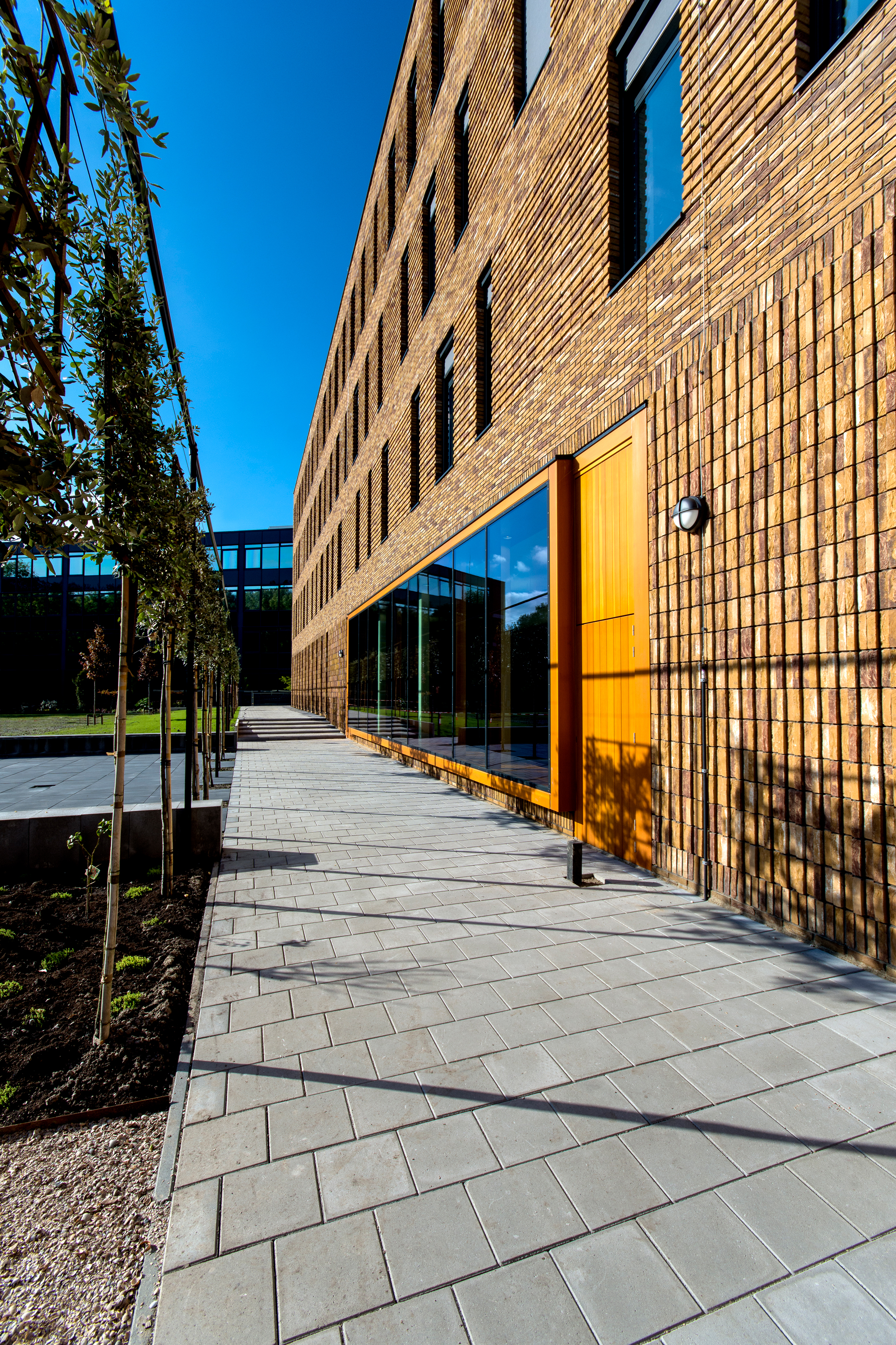 Hoornbeeck College by ConverseArchitects b.v. - Architizer