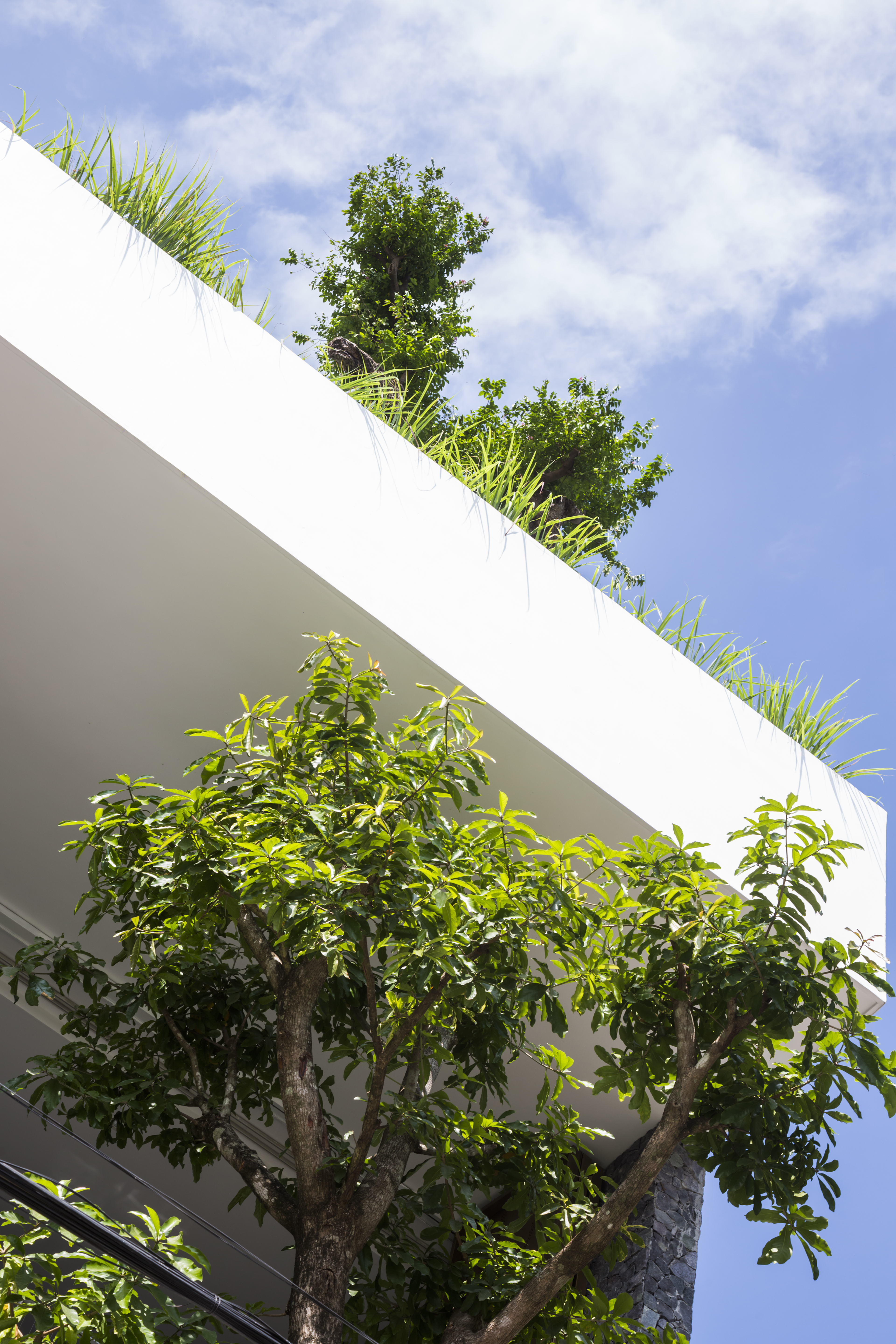 204 House by mw archstudio - Architizer