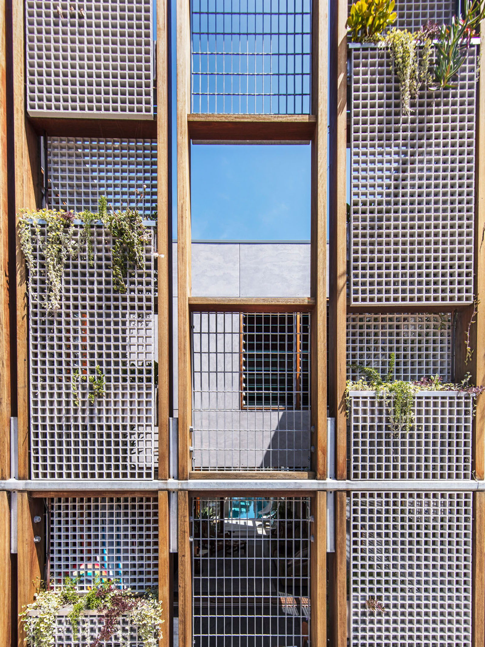 Living Screen House by CplusC Architects + Builders - Architizer