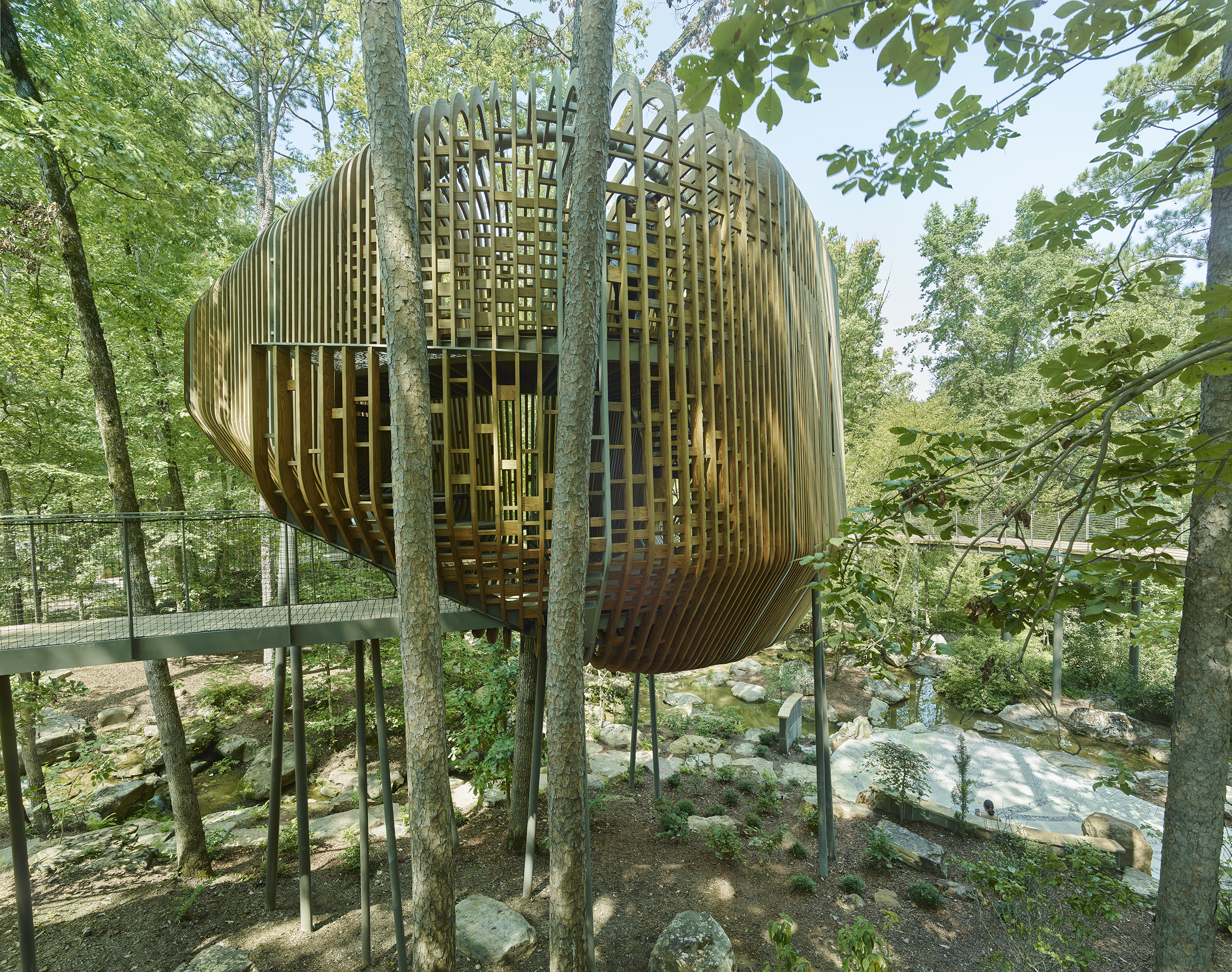 The Bob + Sunny Evans Tree House at Garvan Woodland Gardens by modus ...