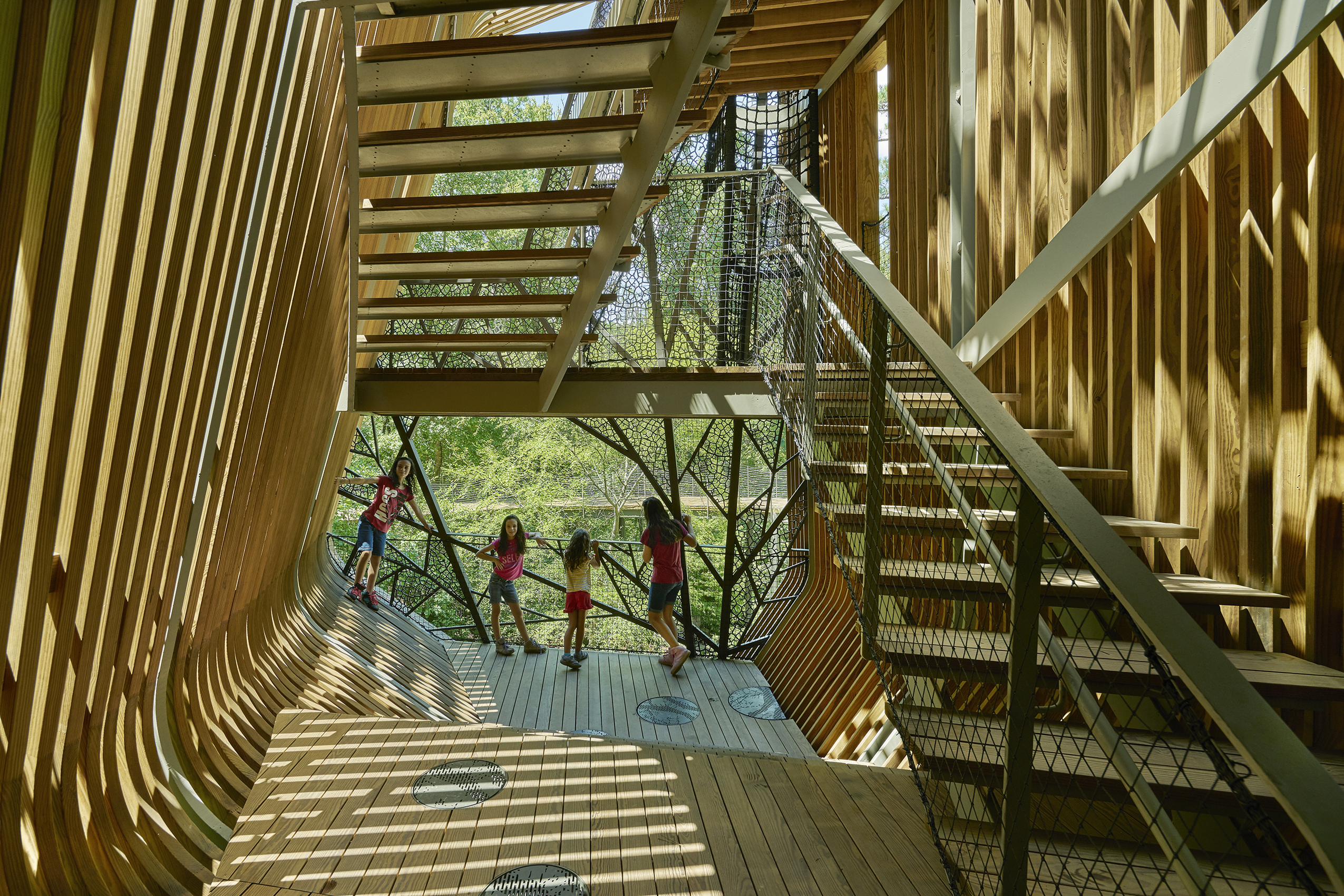 The Bob + Sunny Evans Tree House at Garvan Woodland Gardens by modus ...