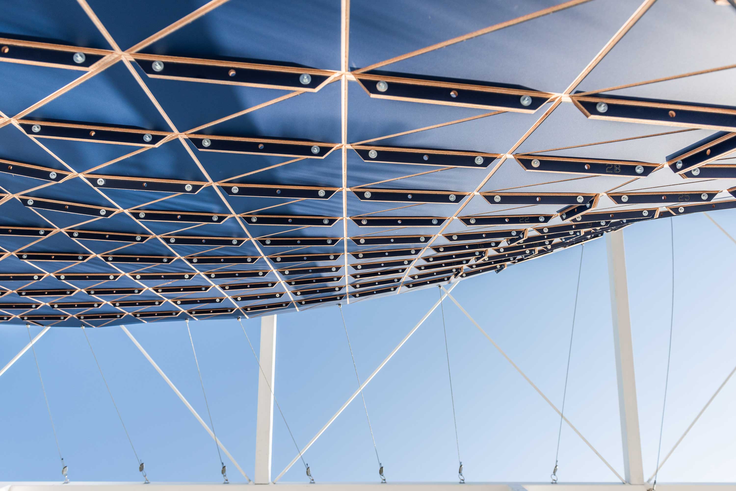 PARAMETRIC SURFACES by WOOD—SKIN - Architizer