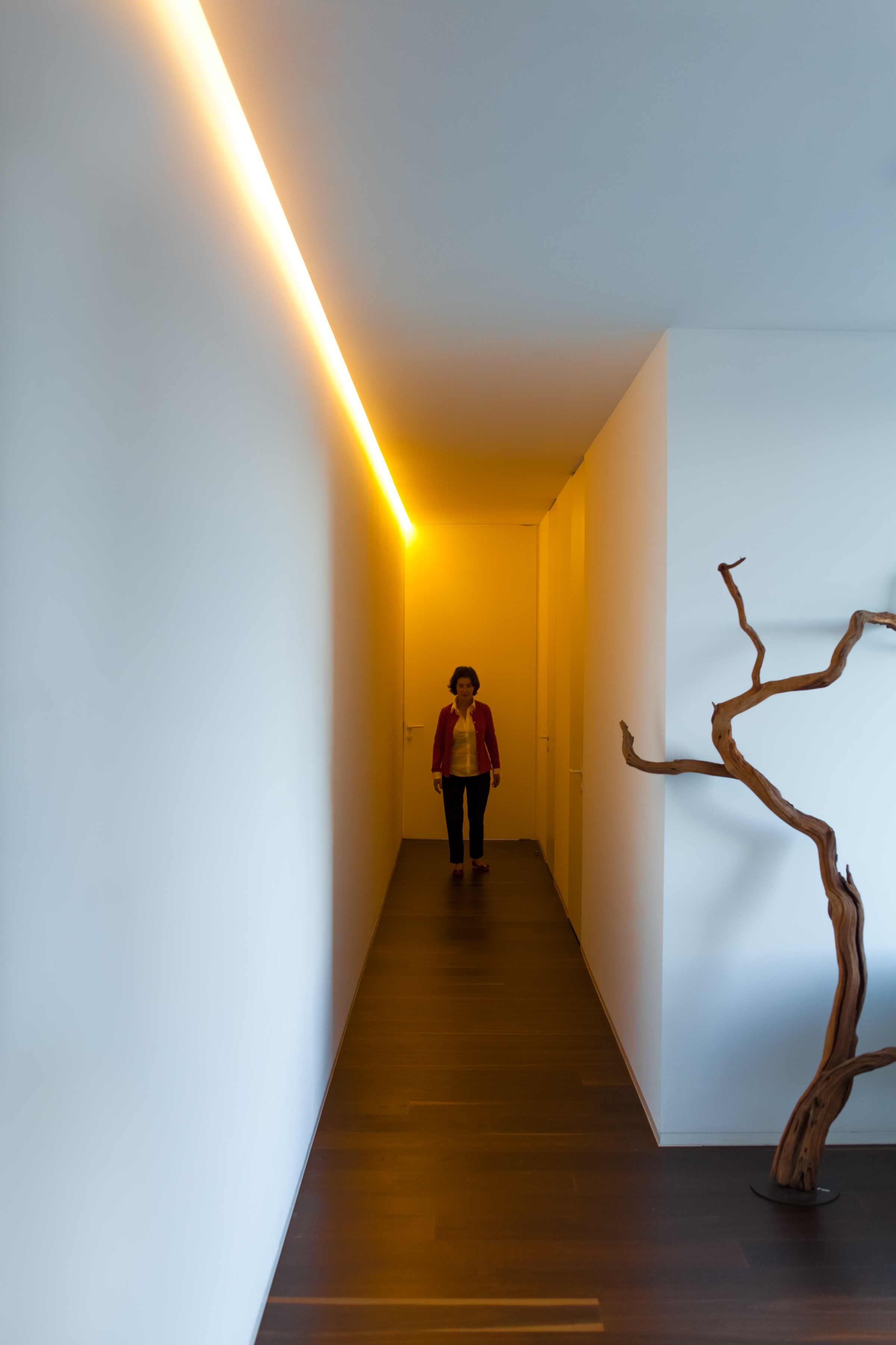 MK House by HW Studio - Architizer