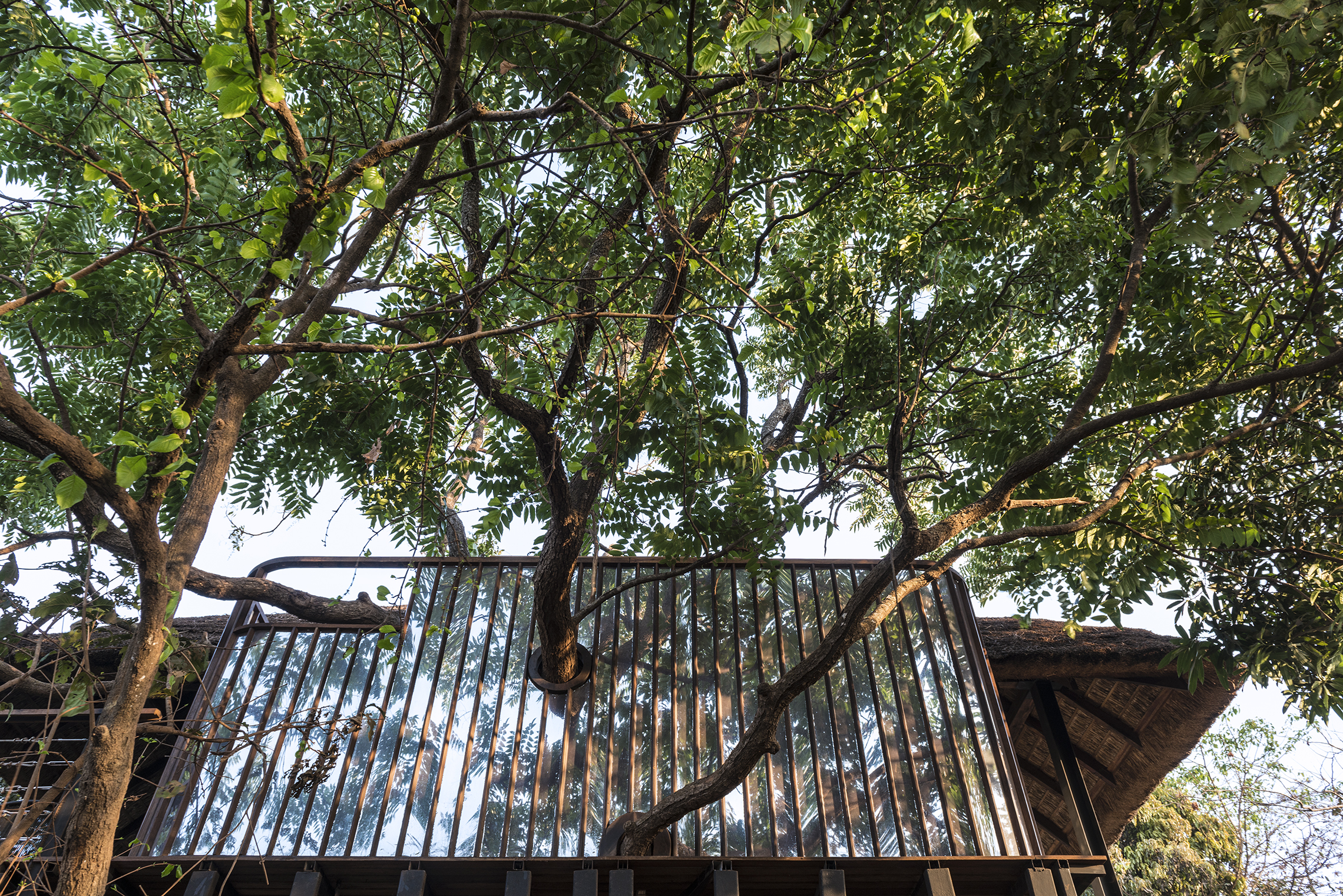 House on a Stream by Architecture BRIO - Architizer
