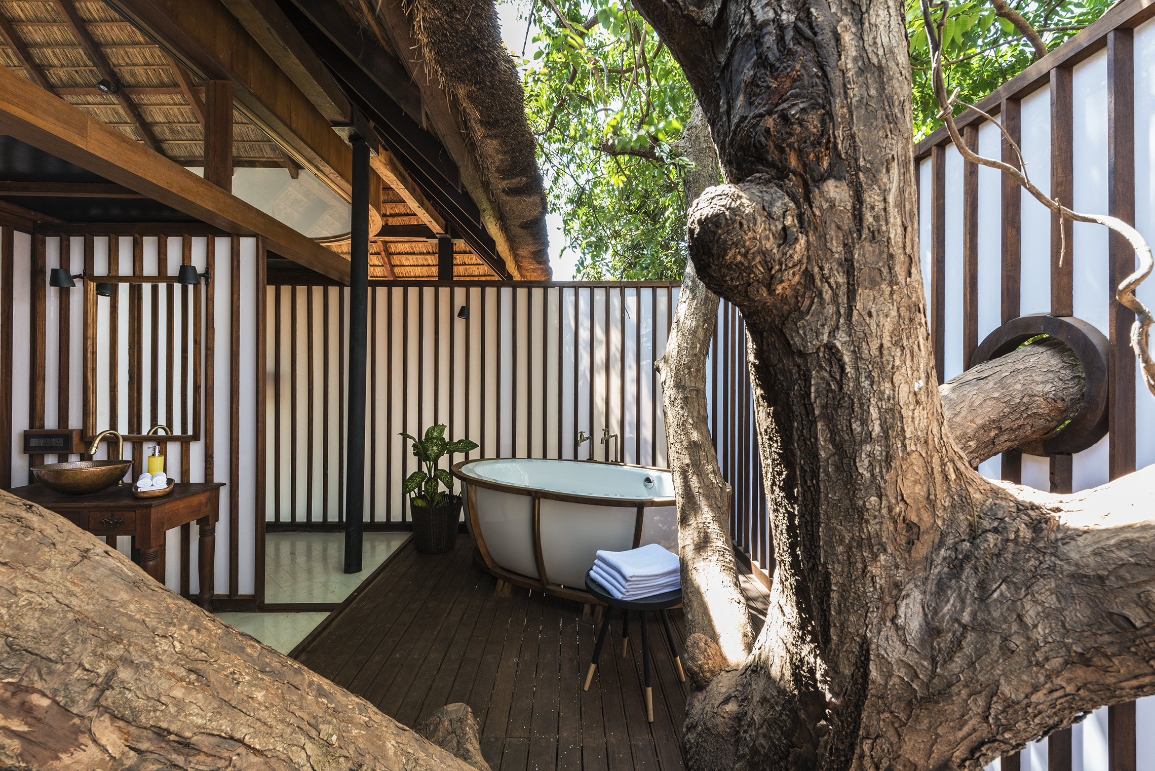 Tala Treehouse Villa by Architecture BRIO - Architizer