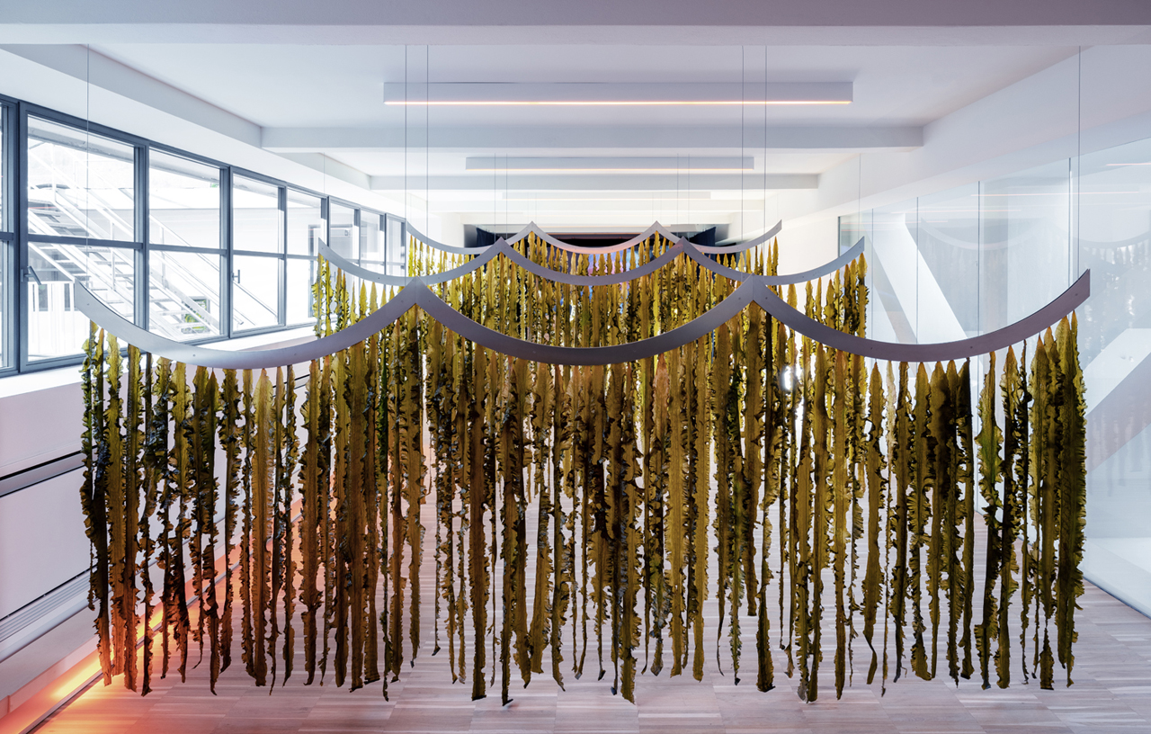 WAVES installation, the urgency of a new project for the world by One ...