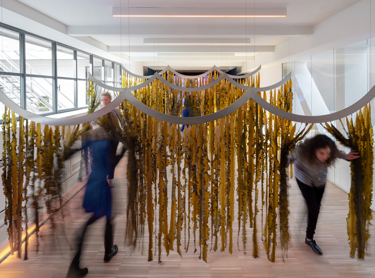 WAVES installation, the urgency of a new project for the world by ...