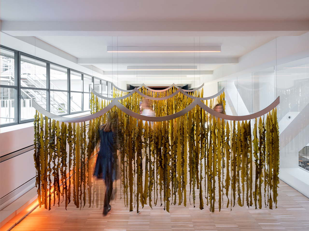 WAVES installation, the urgency of a new project for the world by ...