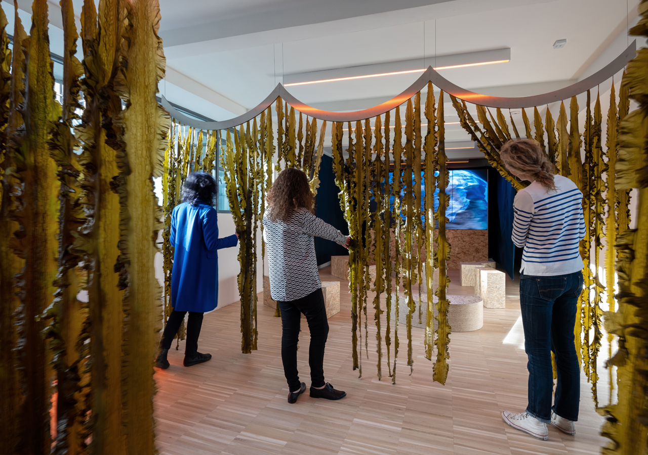 WAVES installation, the urgency of a new project for the world by One ...