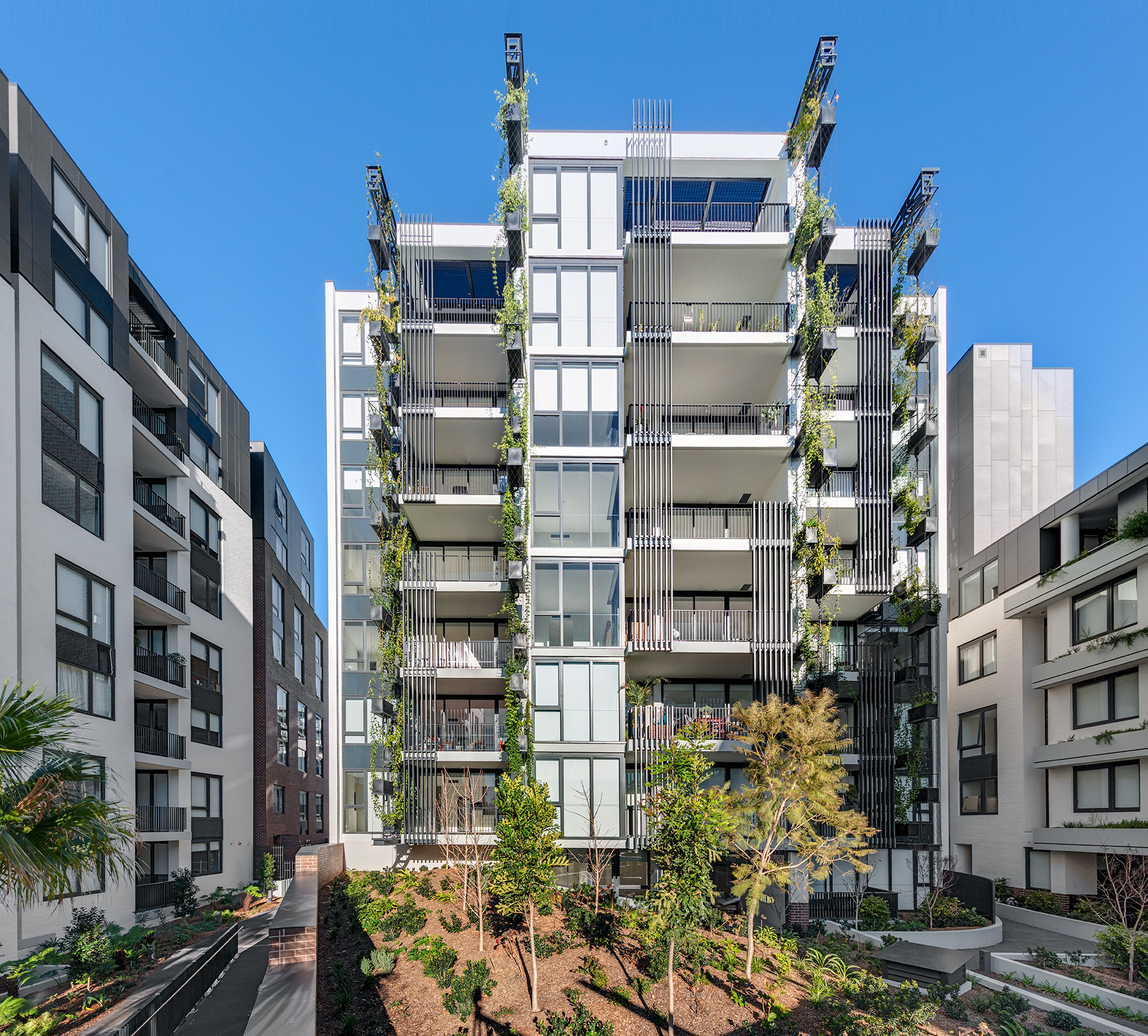 Vance Harold Park by PTW Architects - Architizer