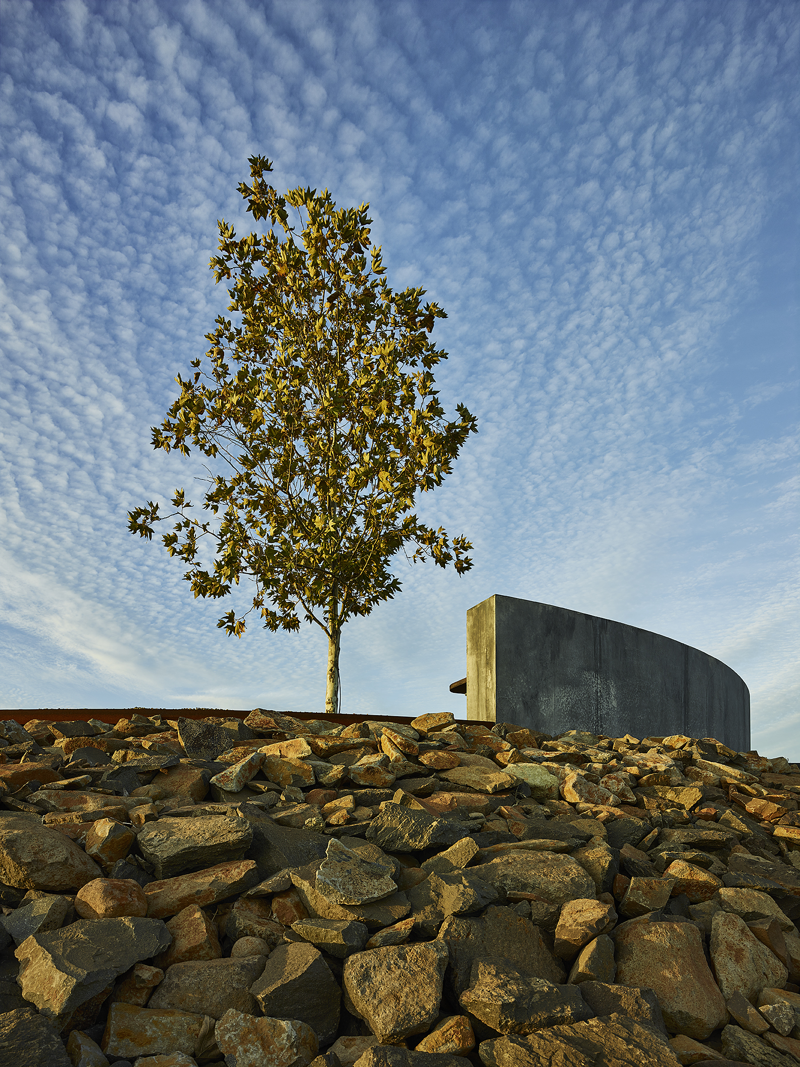 Nine Suns Winery by Signum Architecture - Architizer
