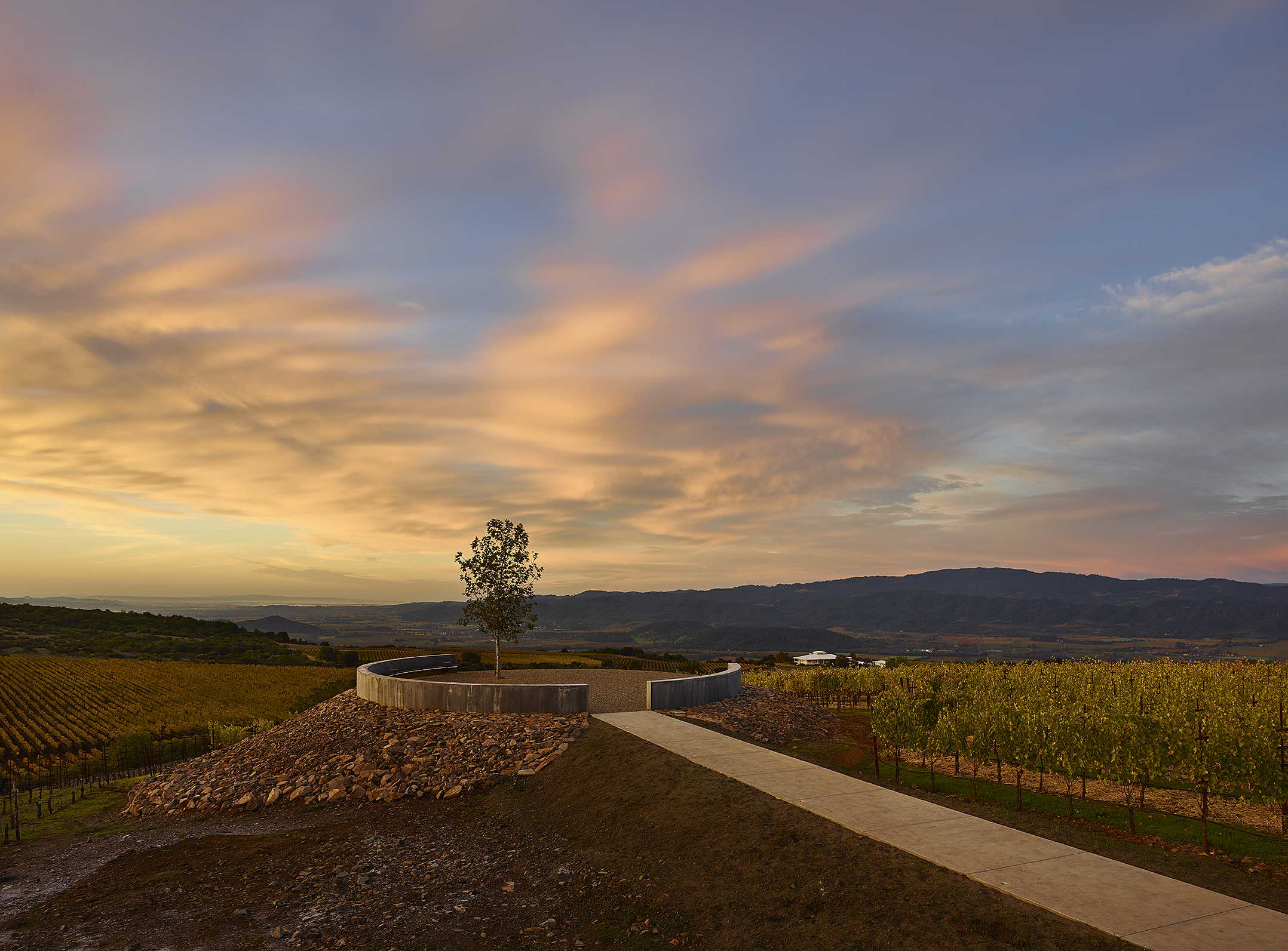 Nine Suns Winery by Signum Architecture - Architizer