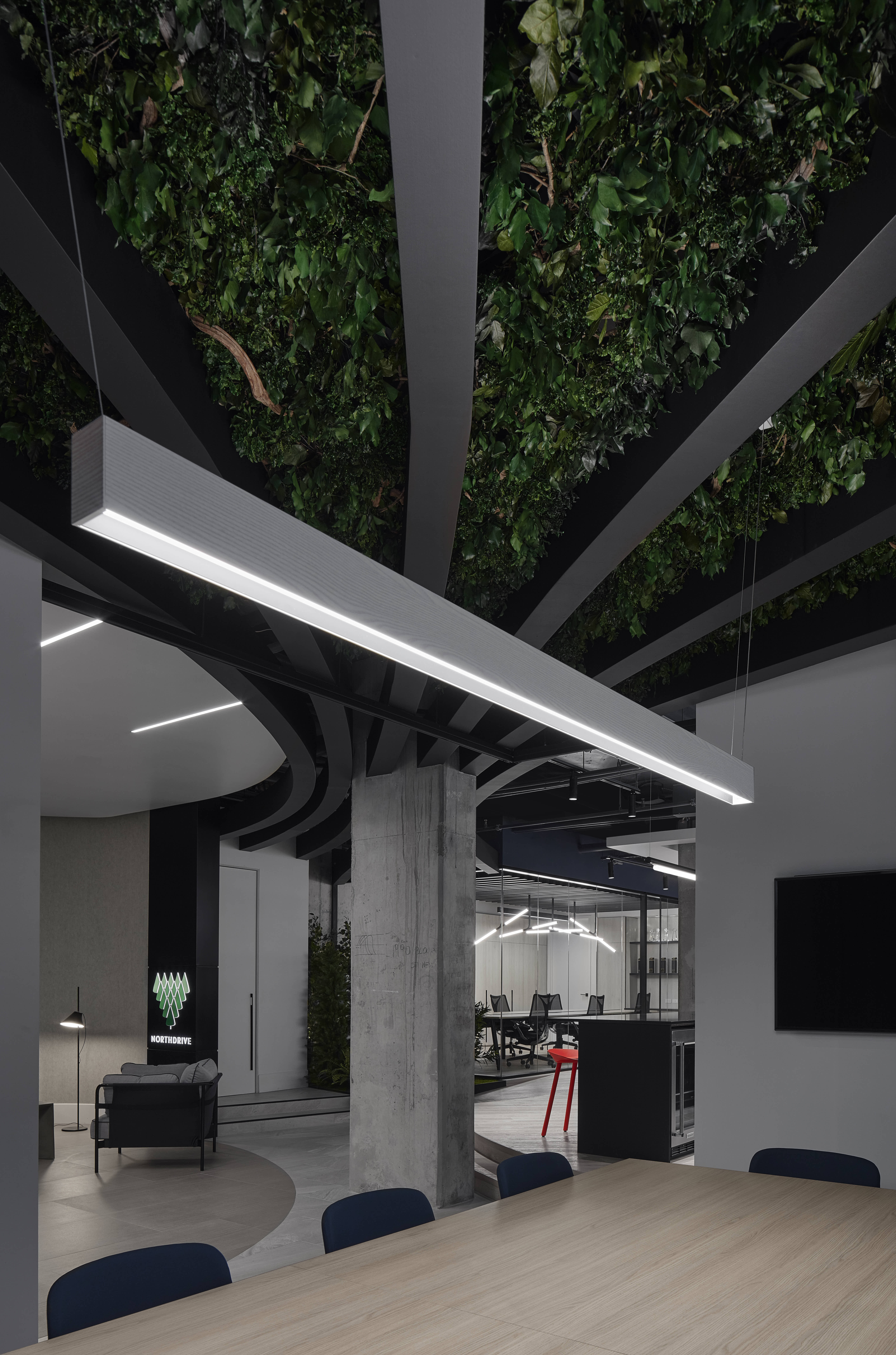 North Drive by Reflect Architecture - Architizer