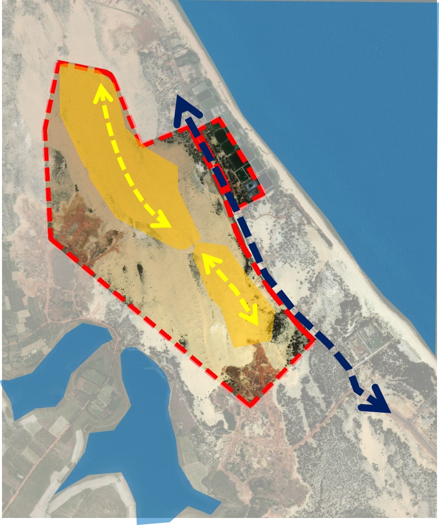 SandHill master plan by DDCICVN D&B - Architizer