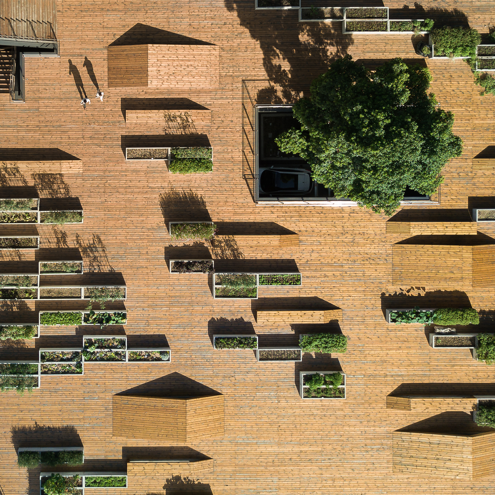 The planting terrace and the experience pavilion by MOZHAO ARCHITECTS ...