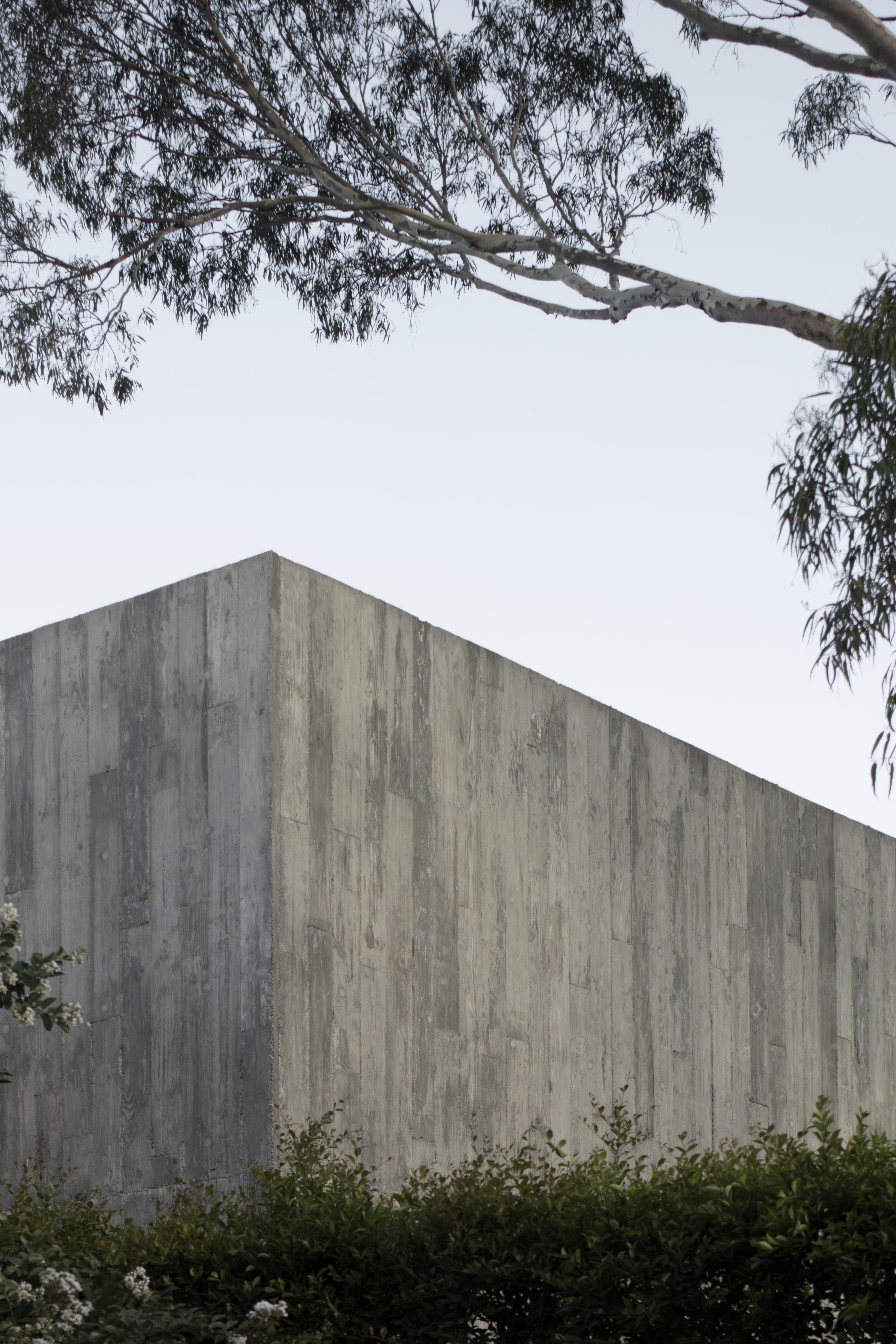 Hawthorn House by Edition Office - Architizer