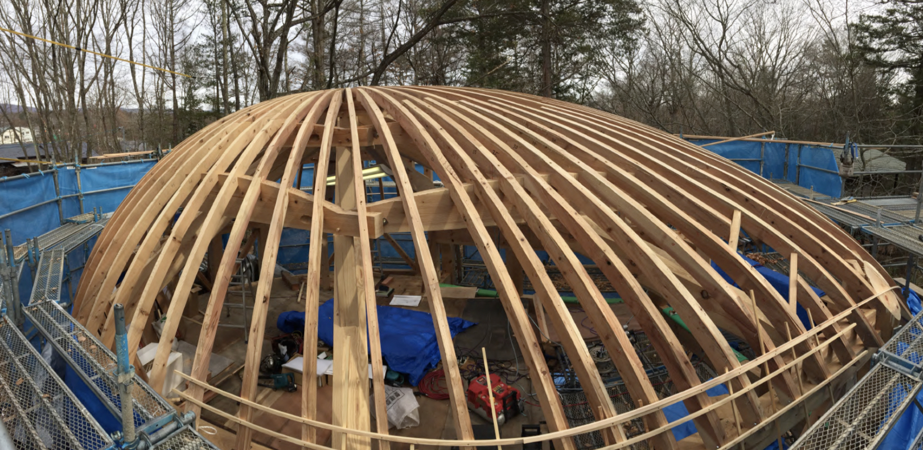 Shell House / The language of forest by Tono Mirai architects - Architizer