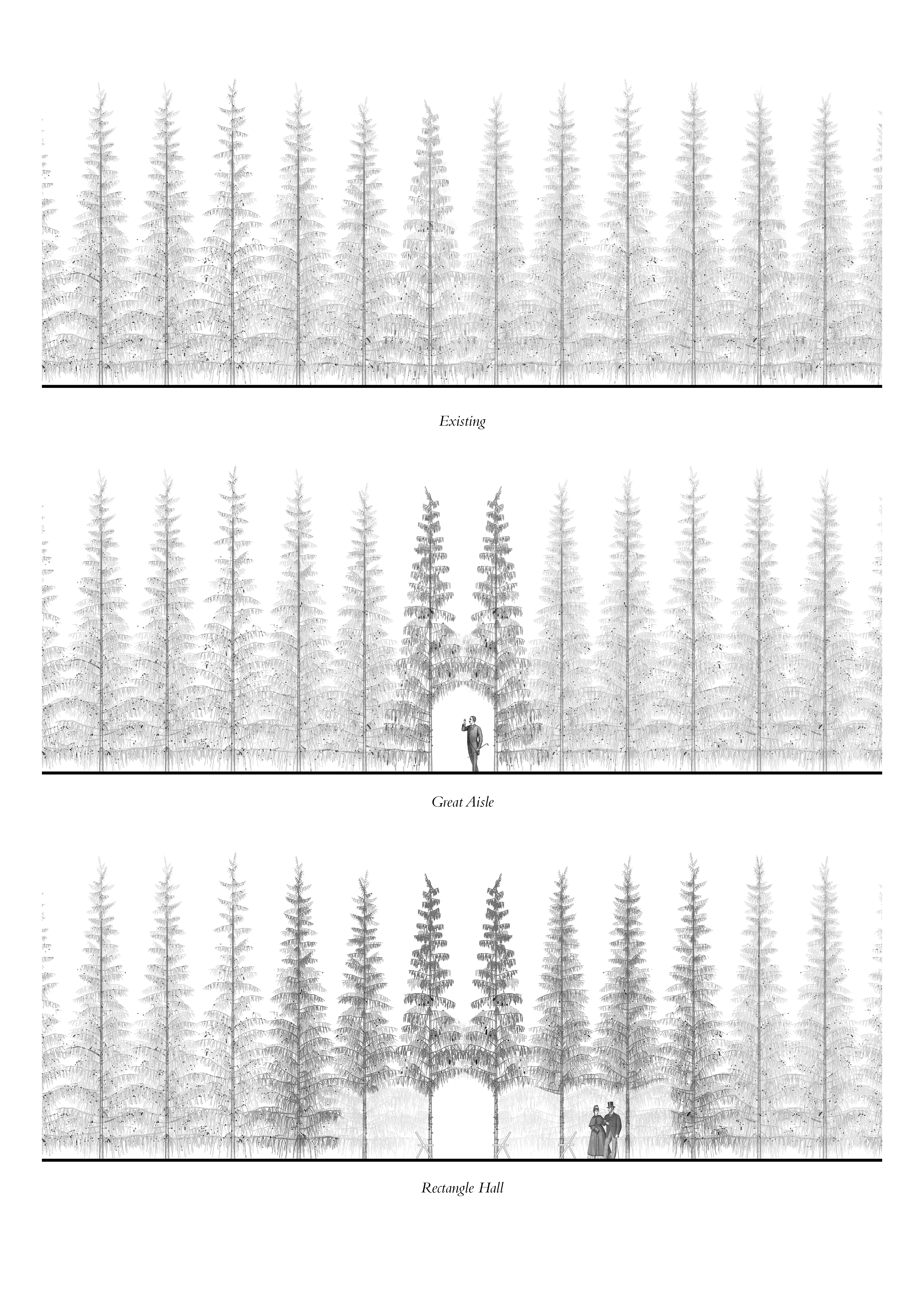 Tree Knots - Architizer