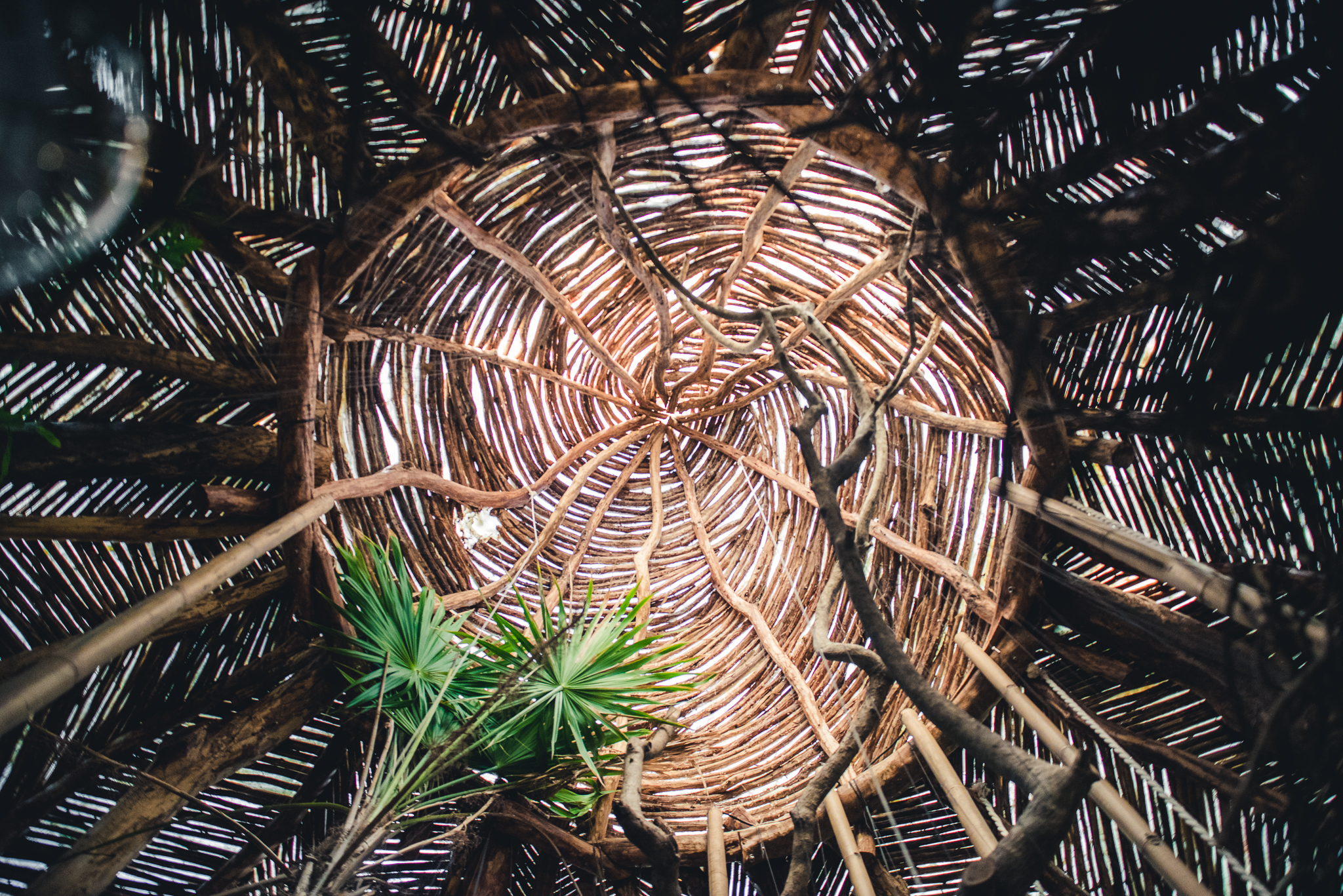 ROTH ARCHITECTURE - Architizer