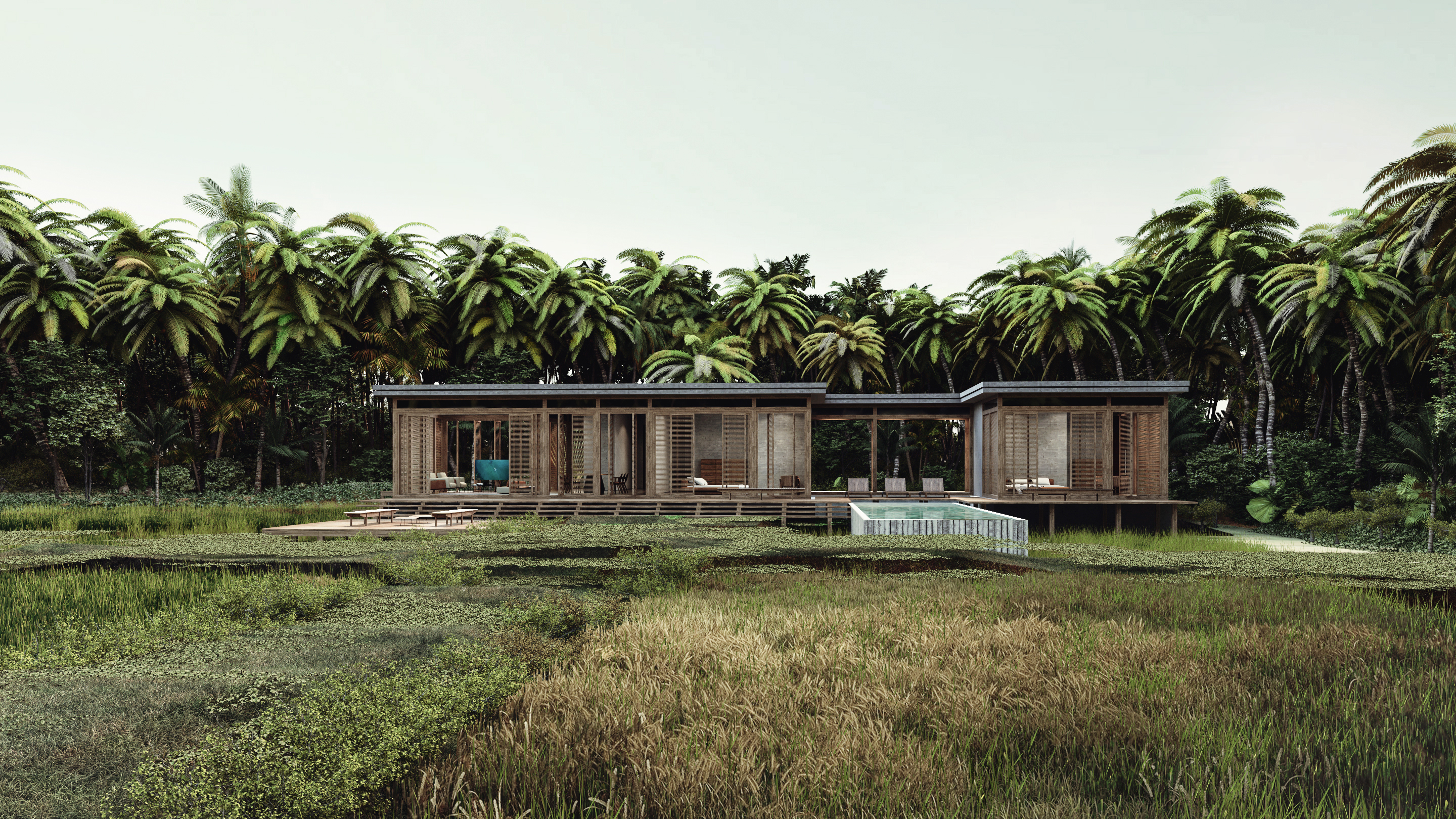 Coconut House by a-designstudio - Architizer