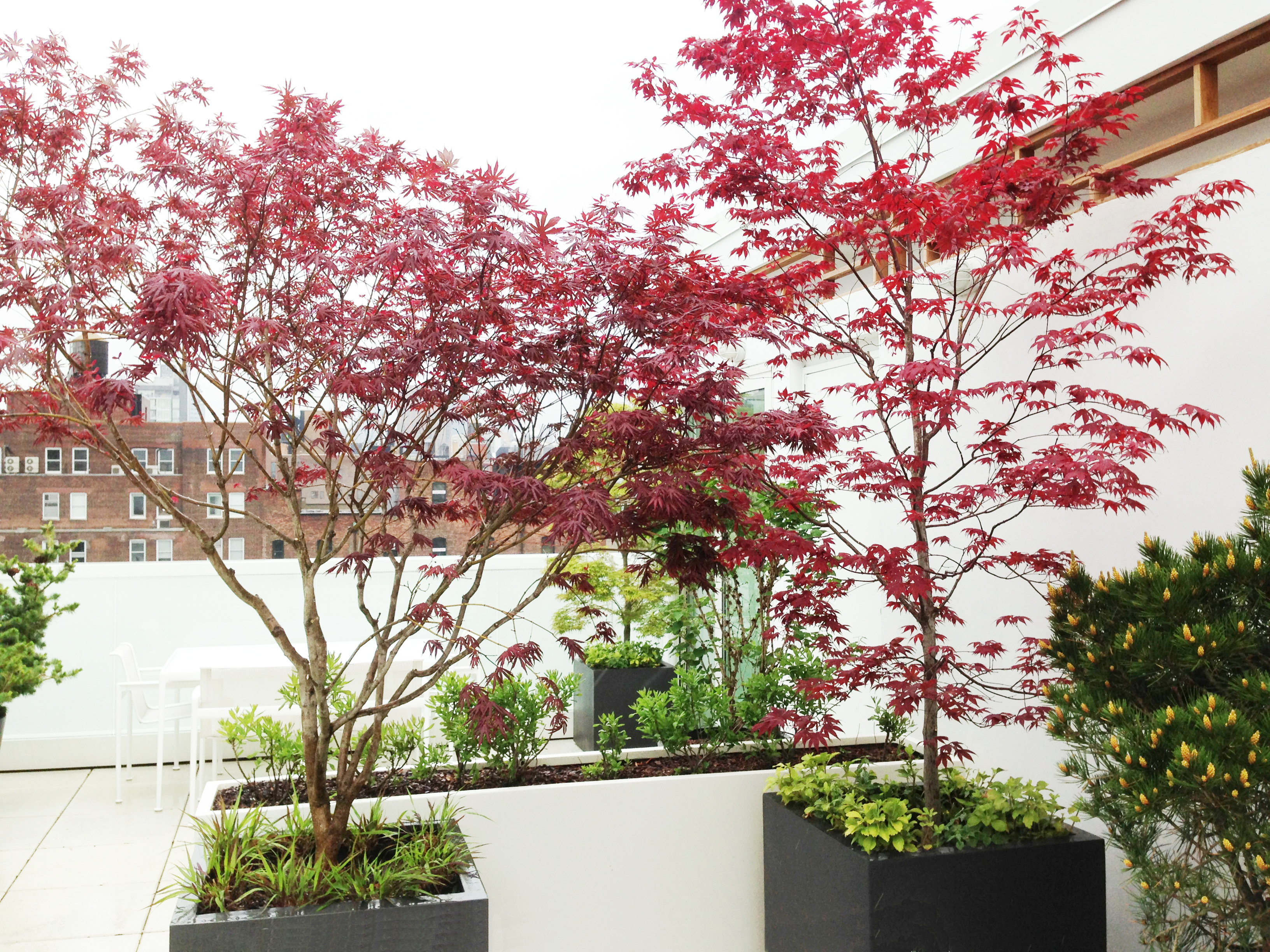 Metal Shutter House by VERDANT NY - Architizer