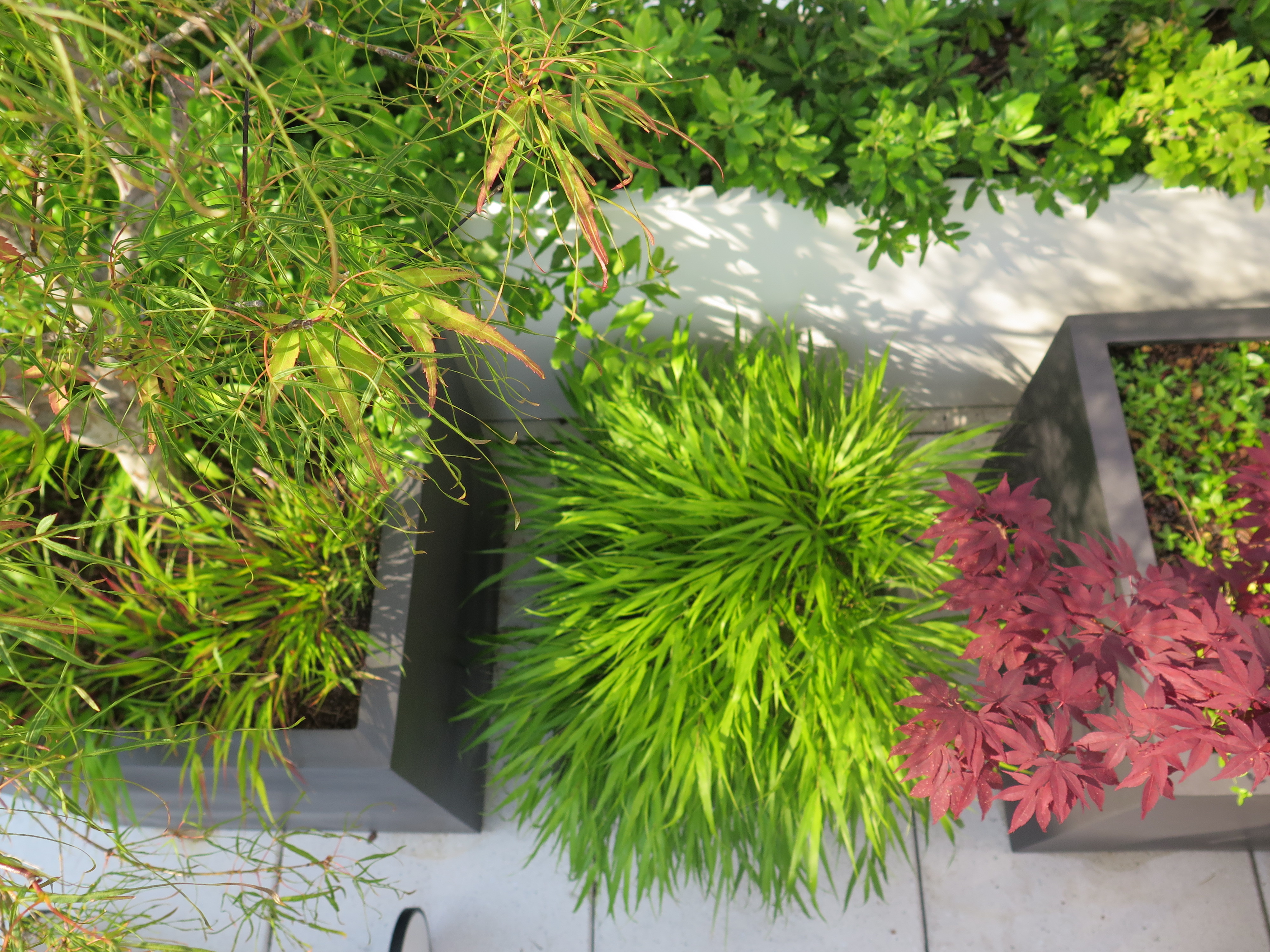 Metal Shutter House by VERDANT NY - Architizer