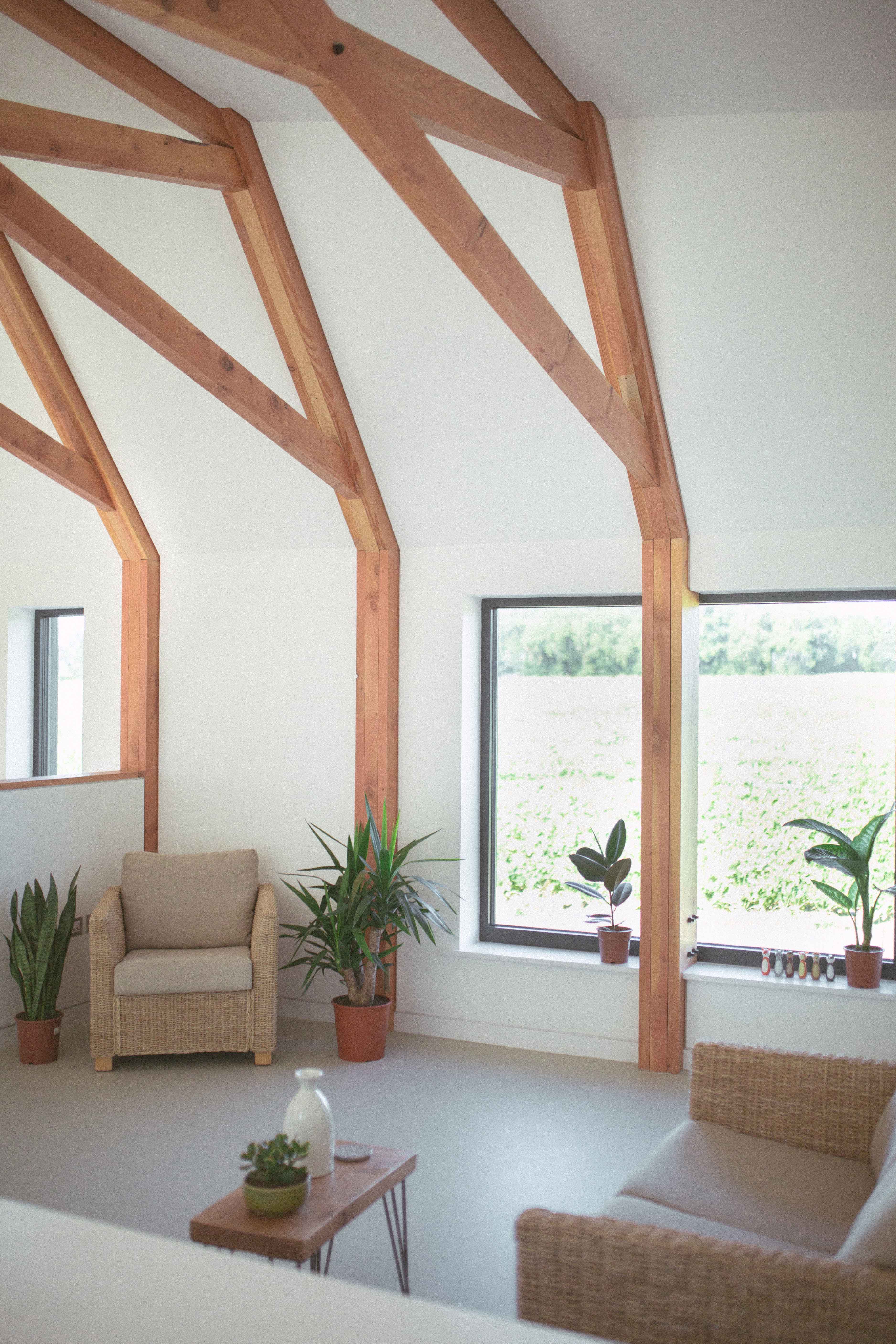 Black Barn by Studio Bark - Architizer