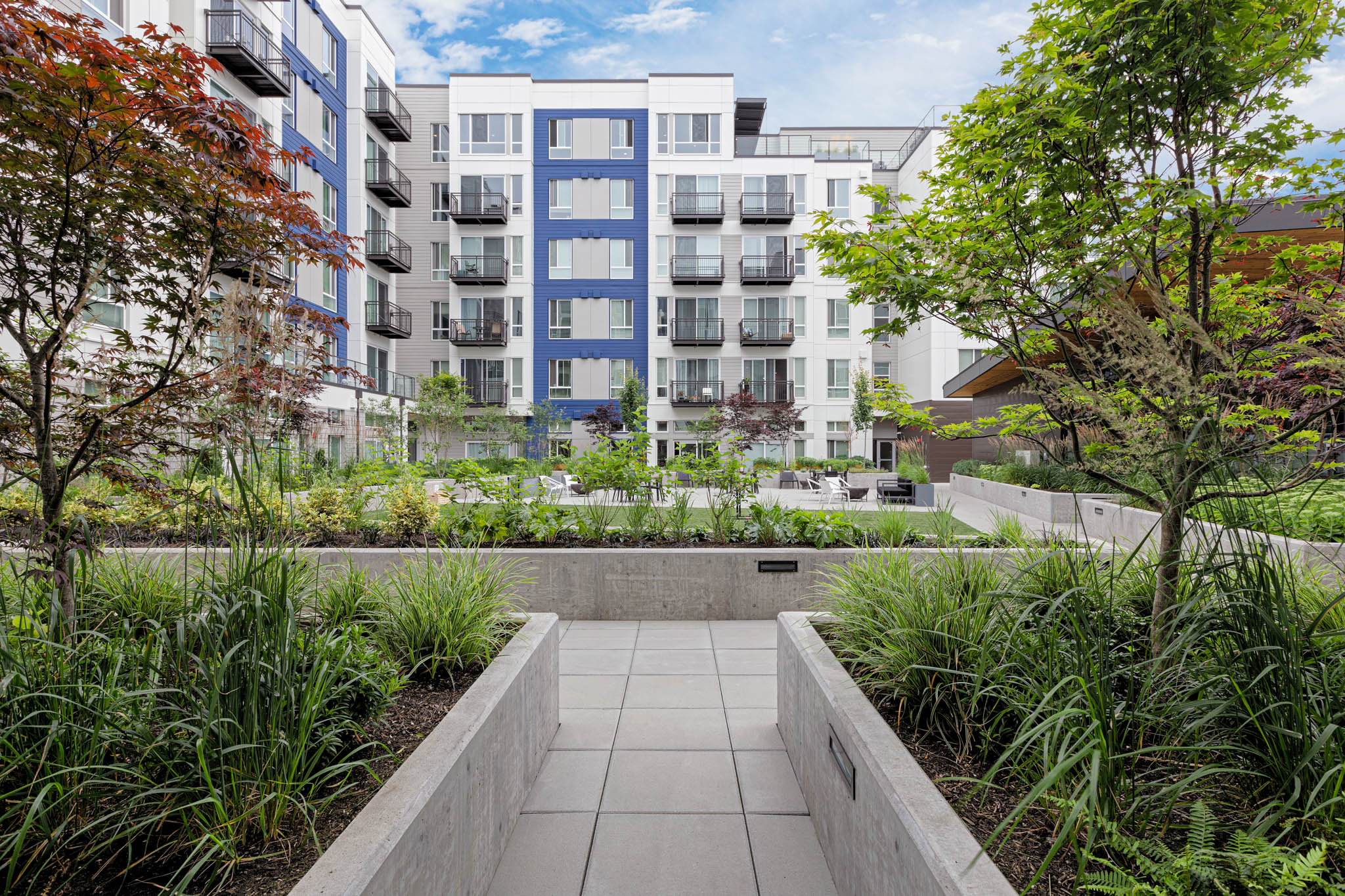 Paceline by CLARK | BARNES - Architizer