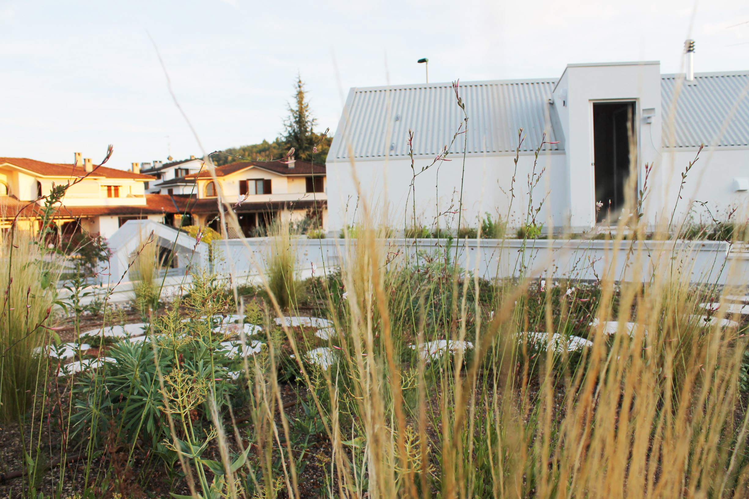 slash house by nico papalia - Architizer