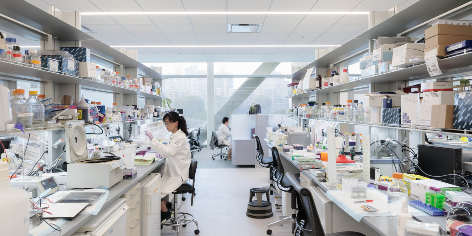The Rockefeller University Stavros Niarchos Foundation - David ...