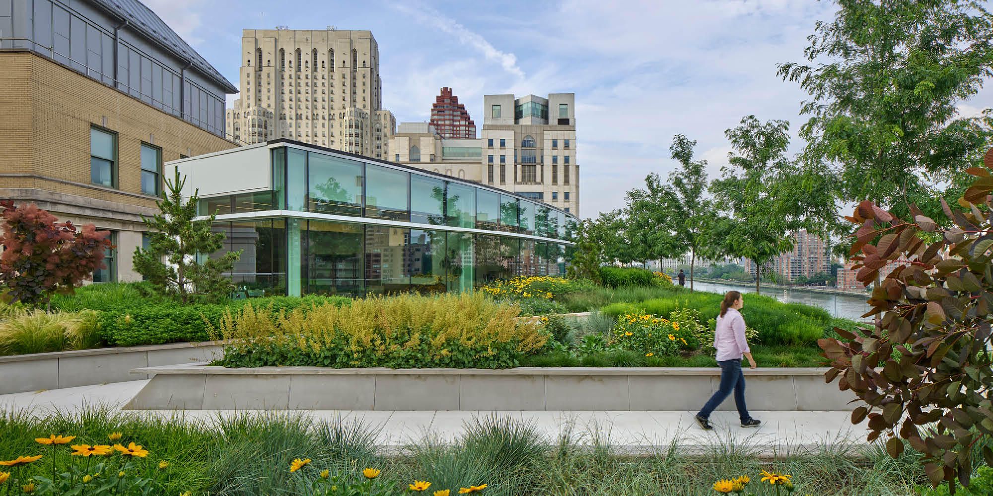 The Rockefeller University Stavros Niarchos Foundation - David ...